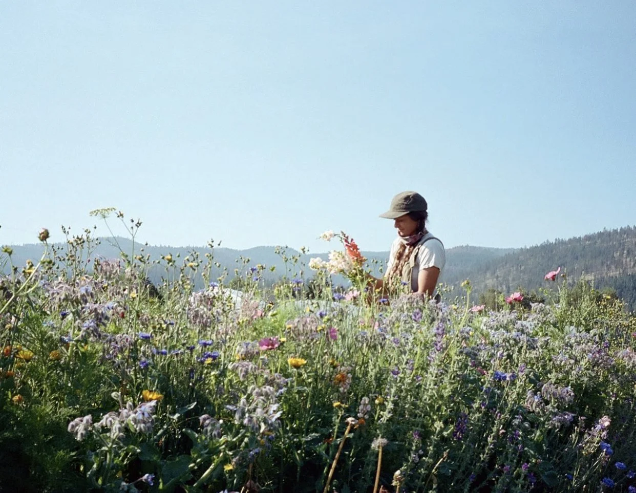 Ethos & Offerings — Field Five Flowers