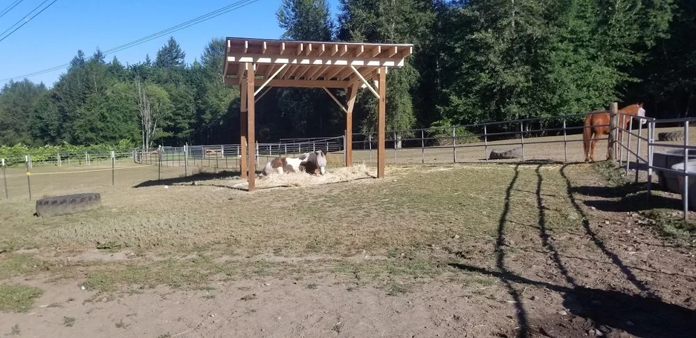 Services 1 — Silver Birch Farm