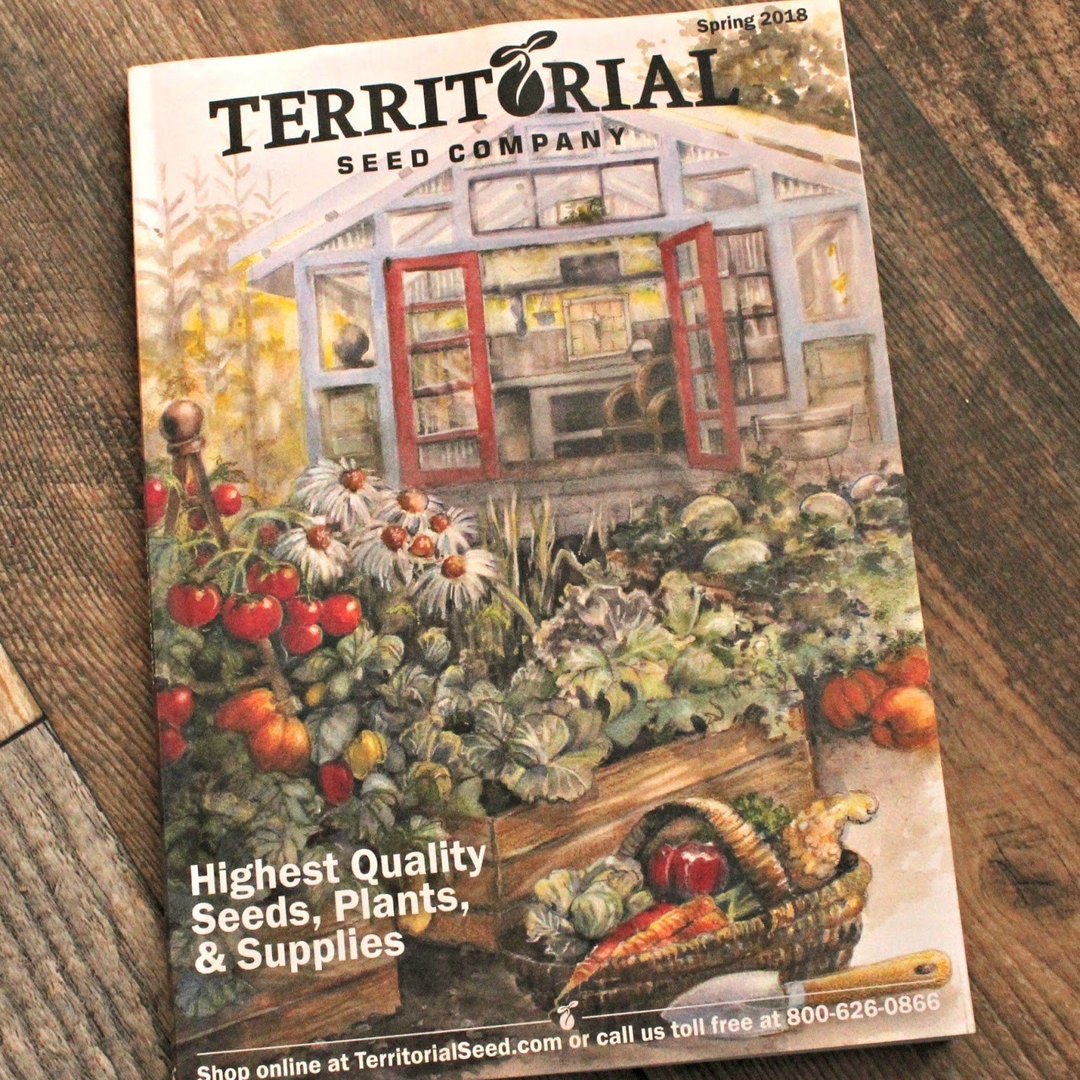 My Top 5 Favorite Seed Companies — Our Simple Farm