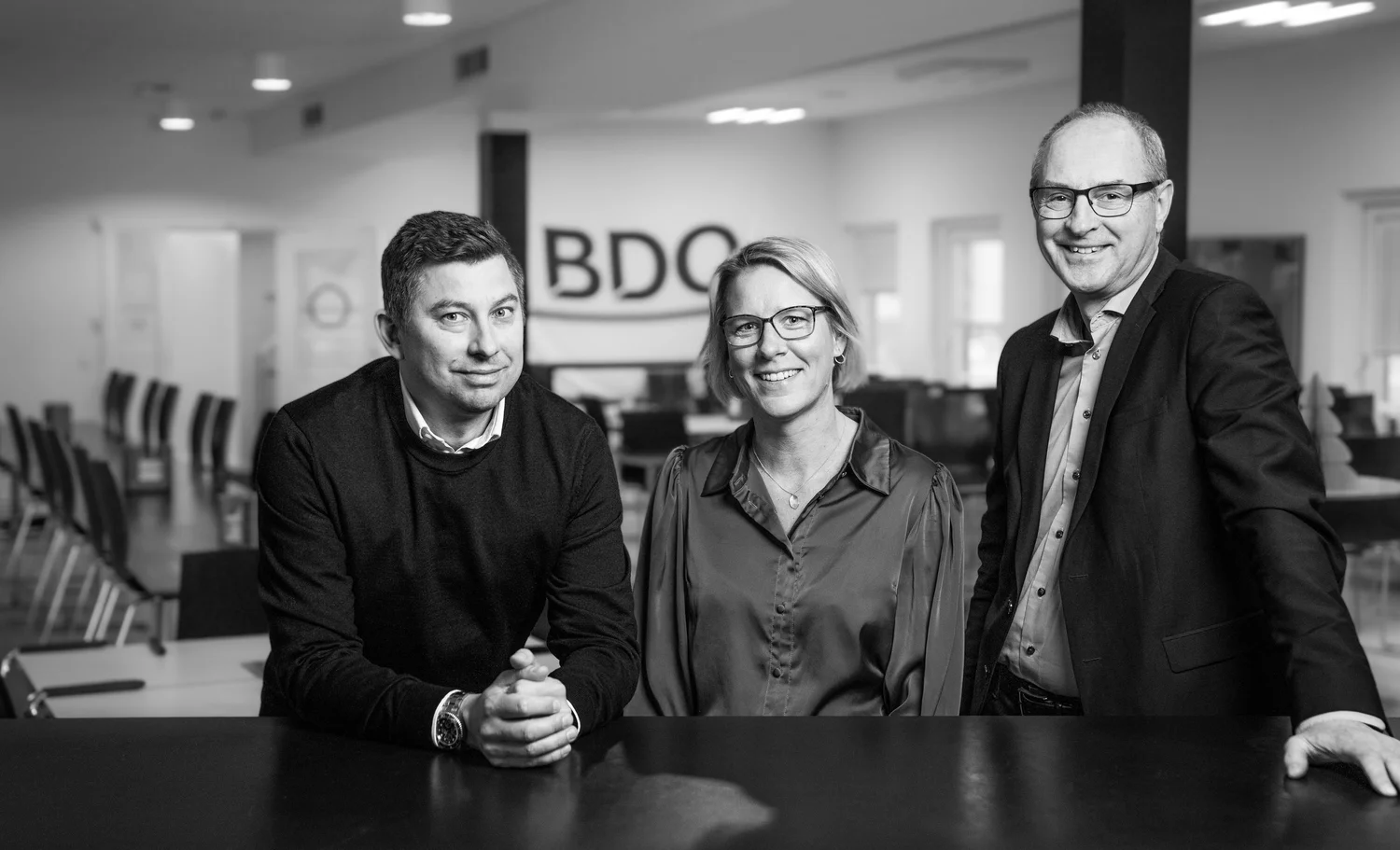 BDO Danmark — ARDESS