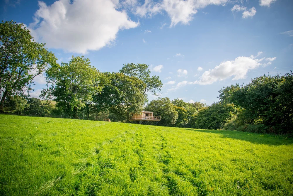 Tyr Onnen Treehouse — Tyr Onen