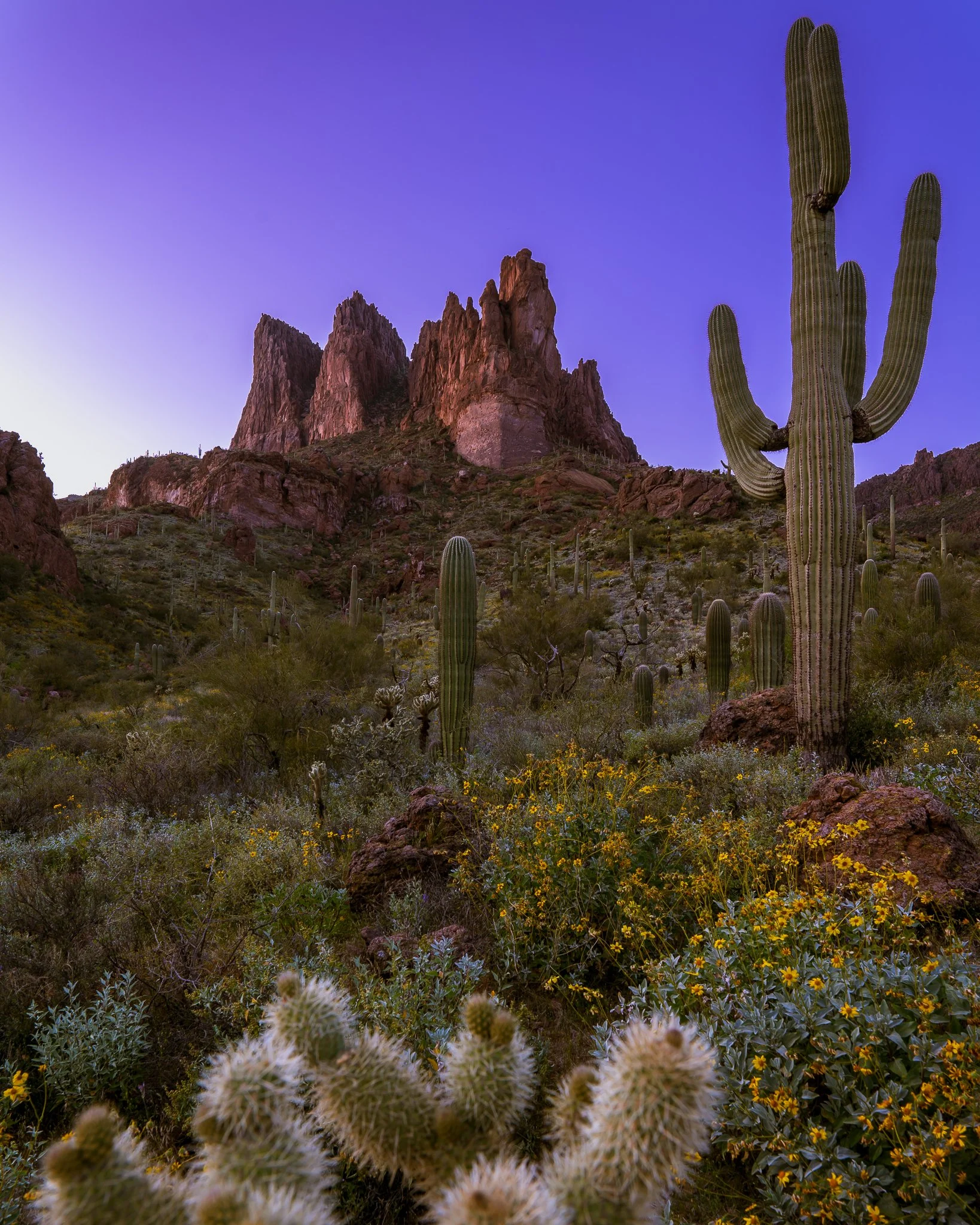 Braden Peterson Photography