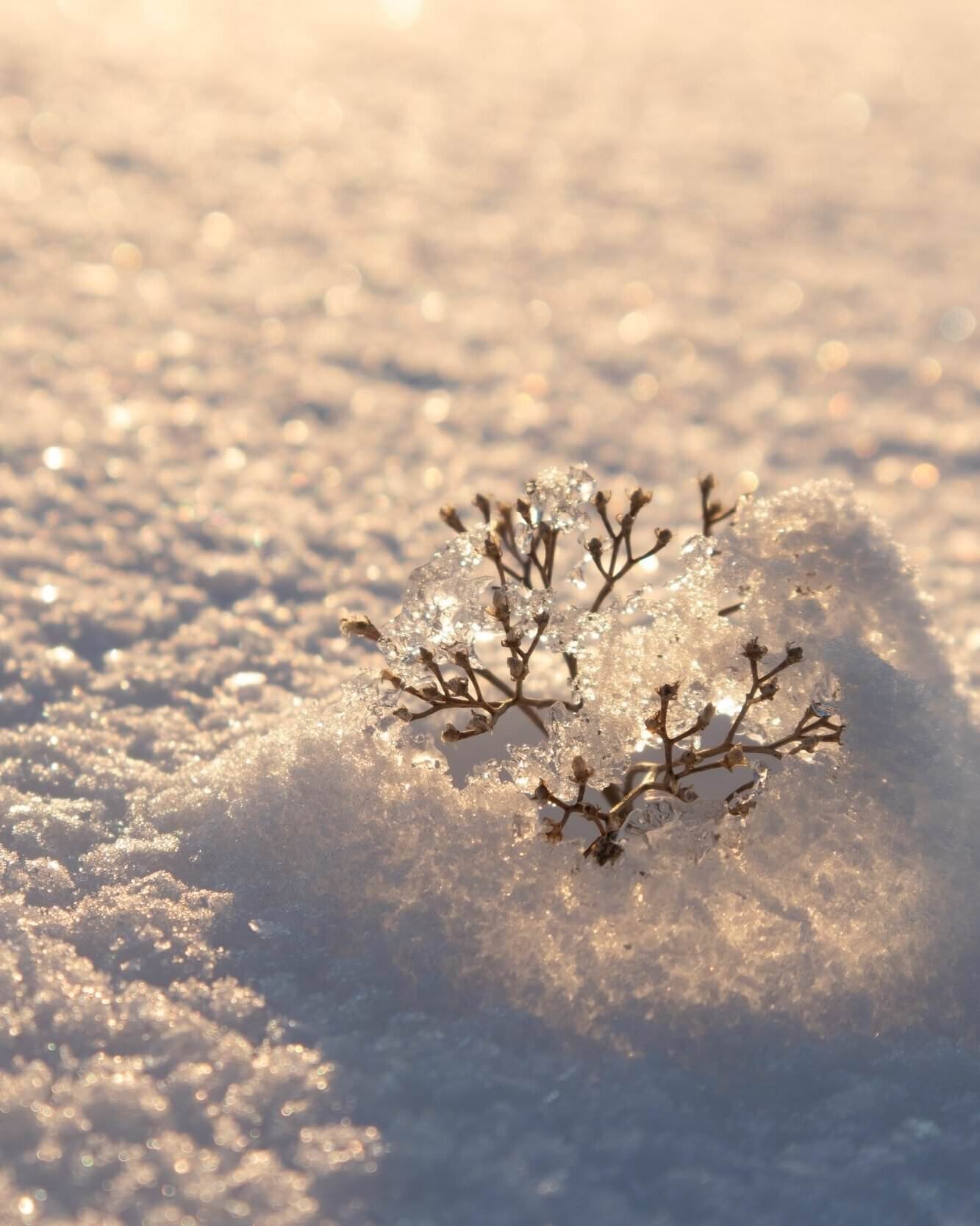 What Happened to the 'Clear Seeing' We Hoped for in 2020? — Dr. Taryn ...