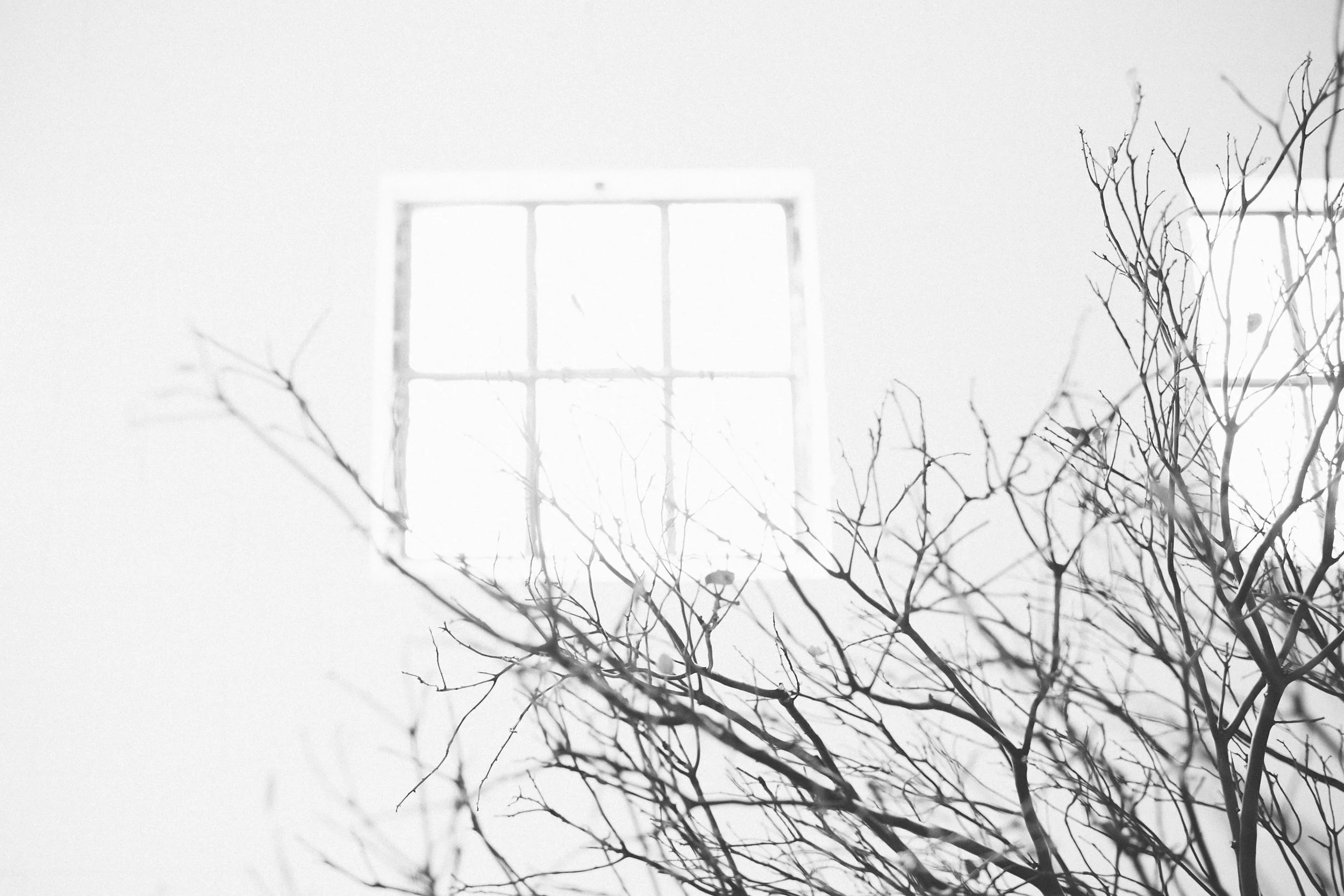 Michele Masterson