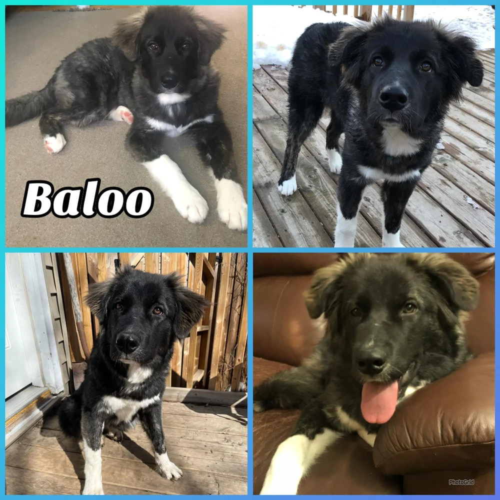 General 1 — CC RezQ's Regina