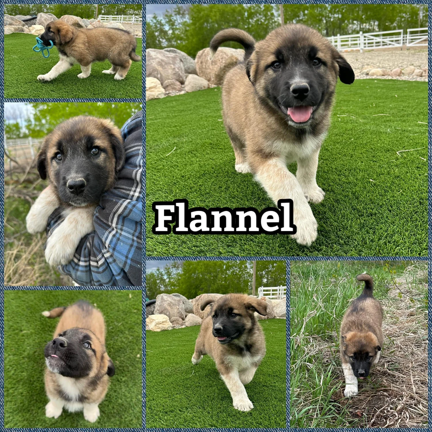 General 1 — CC RezQ's Regina