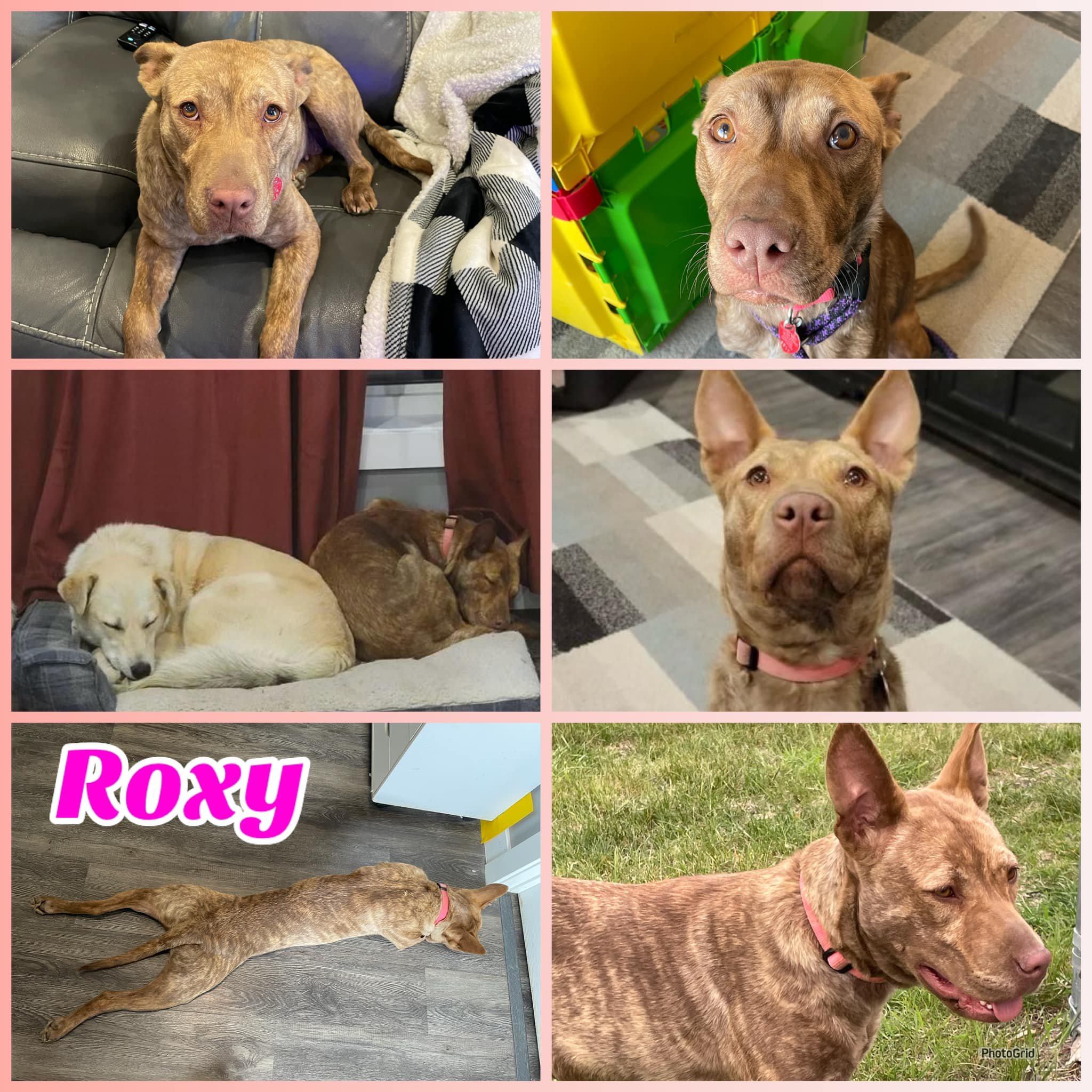 General 1 — CC RezQ's Regina