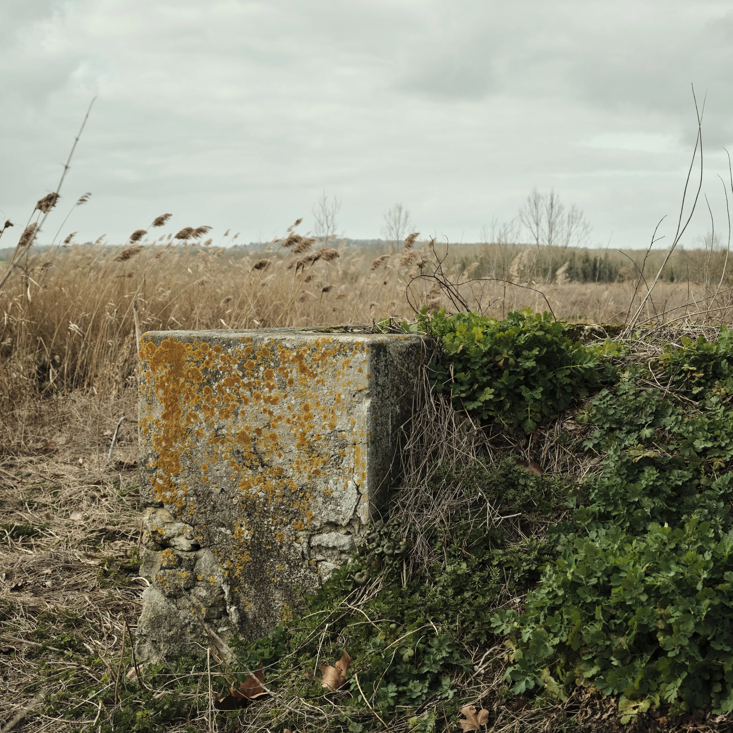 Alexandre Barthel - Photographie