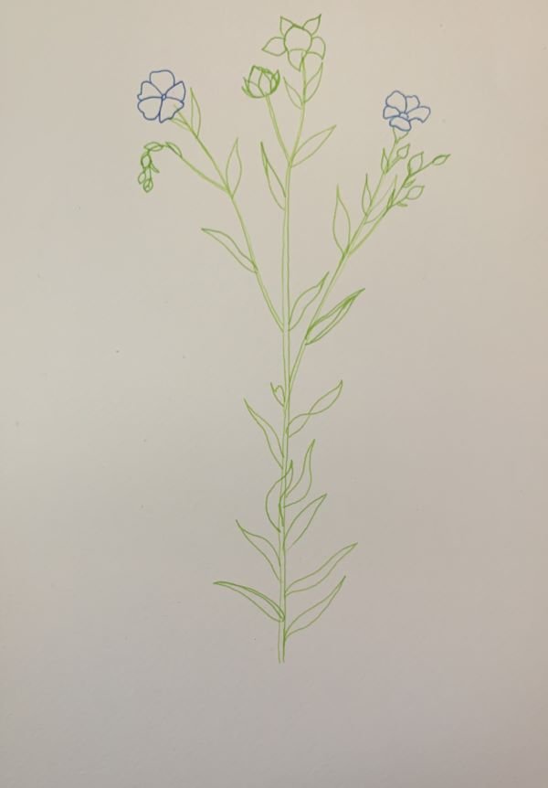 Linseed Rust — hgpennington art