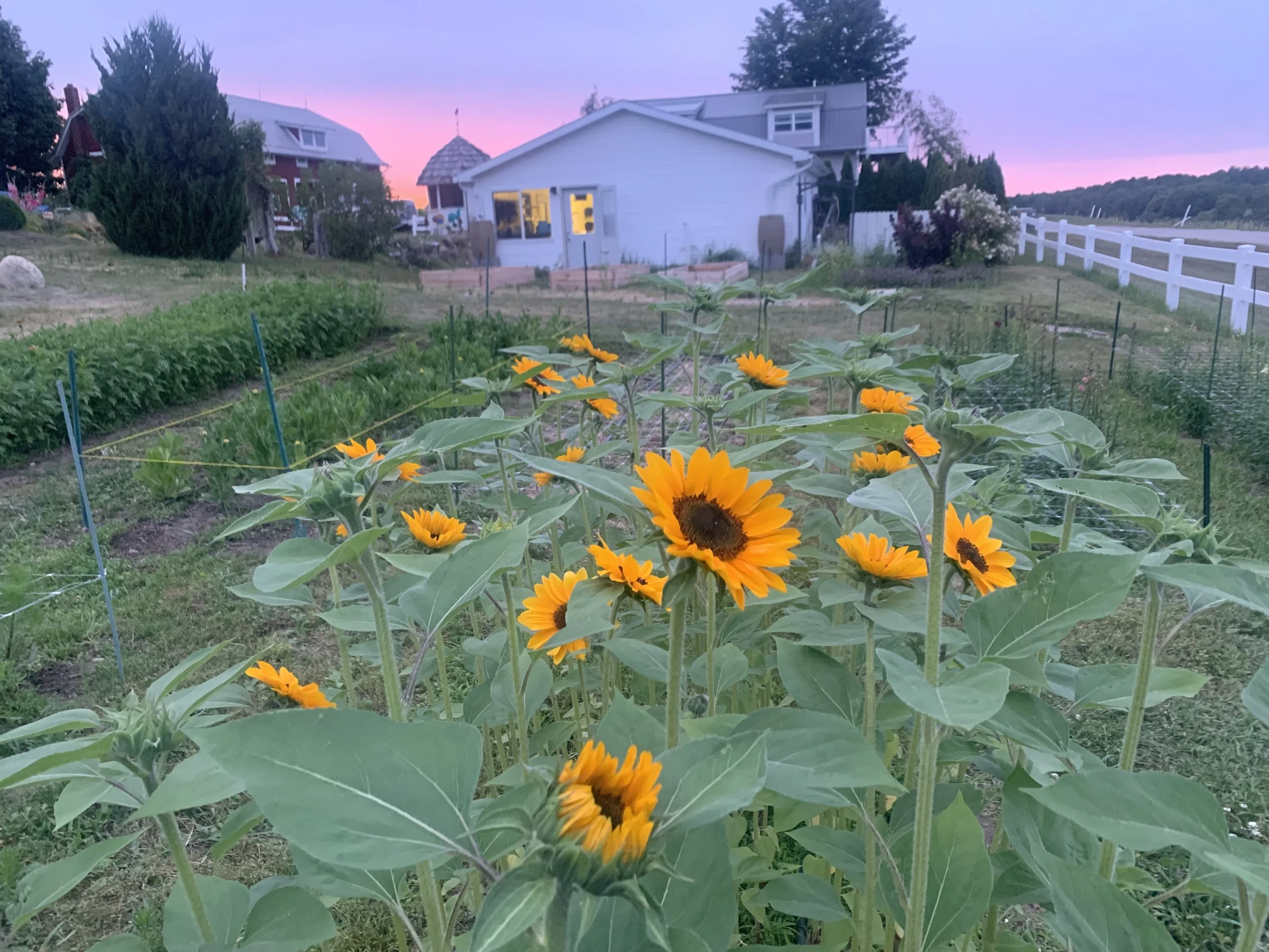 Moondance Flower Farm