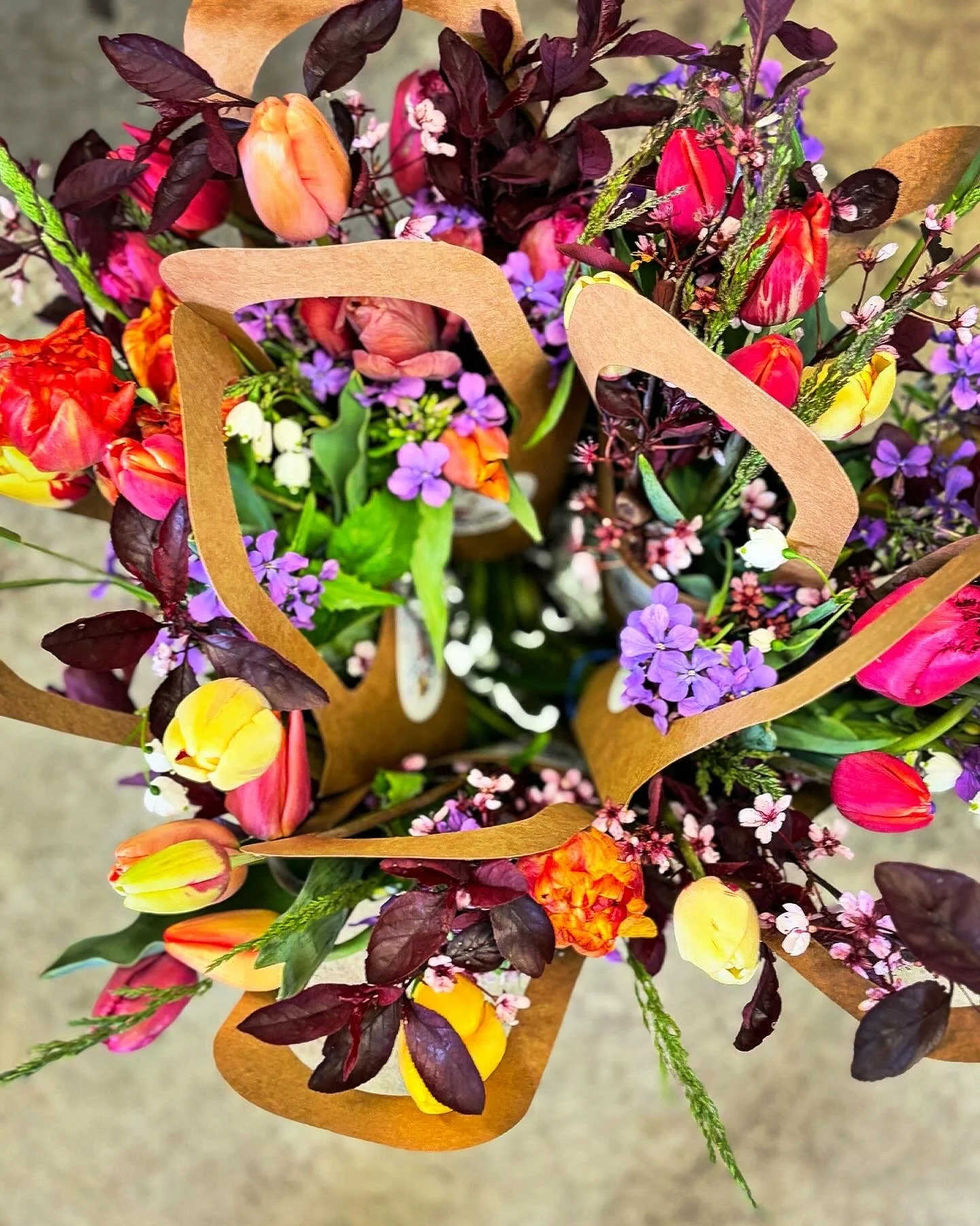 Moondance Flower Farm