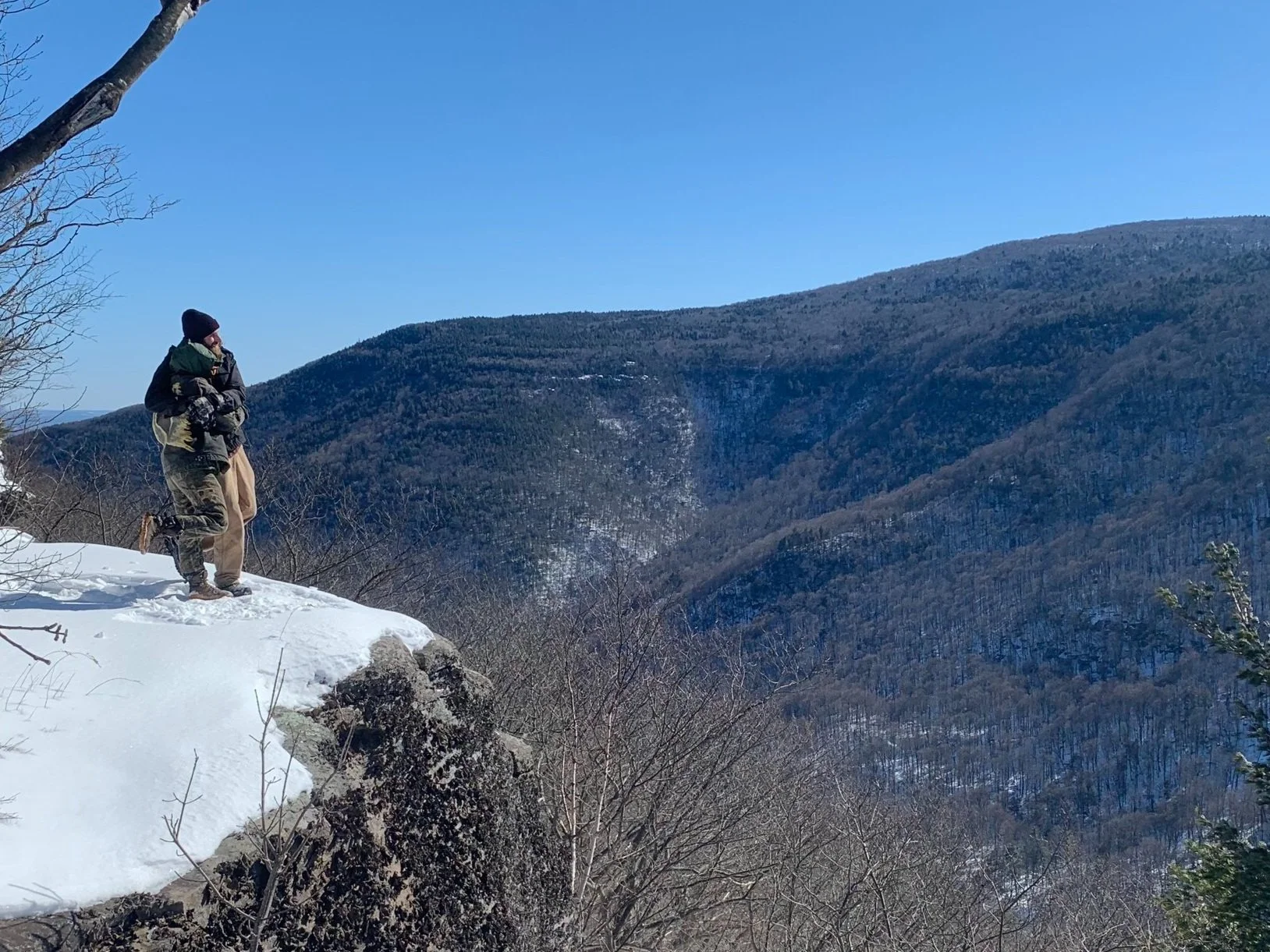 Brass Tacks — Terra Chimera Farm