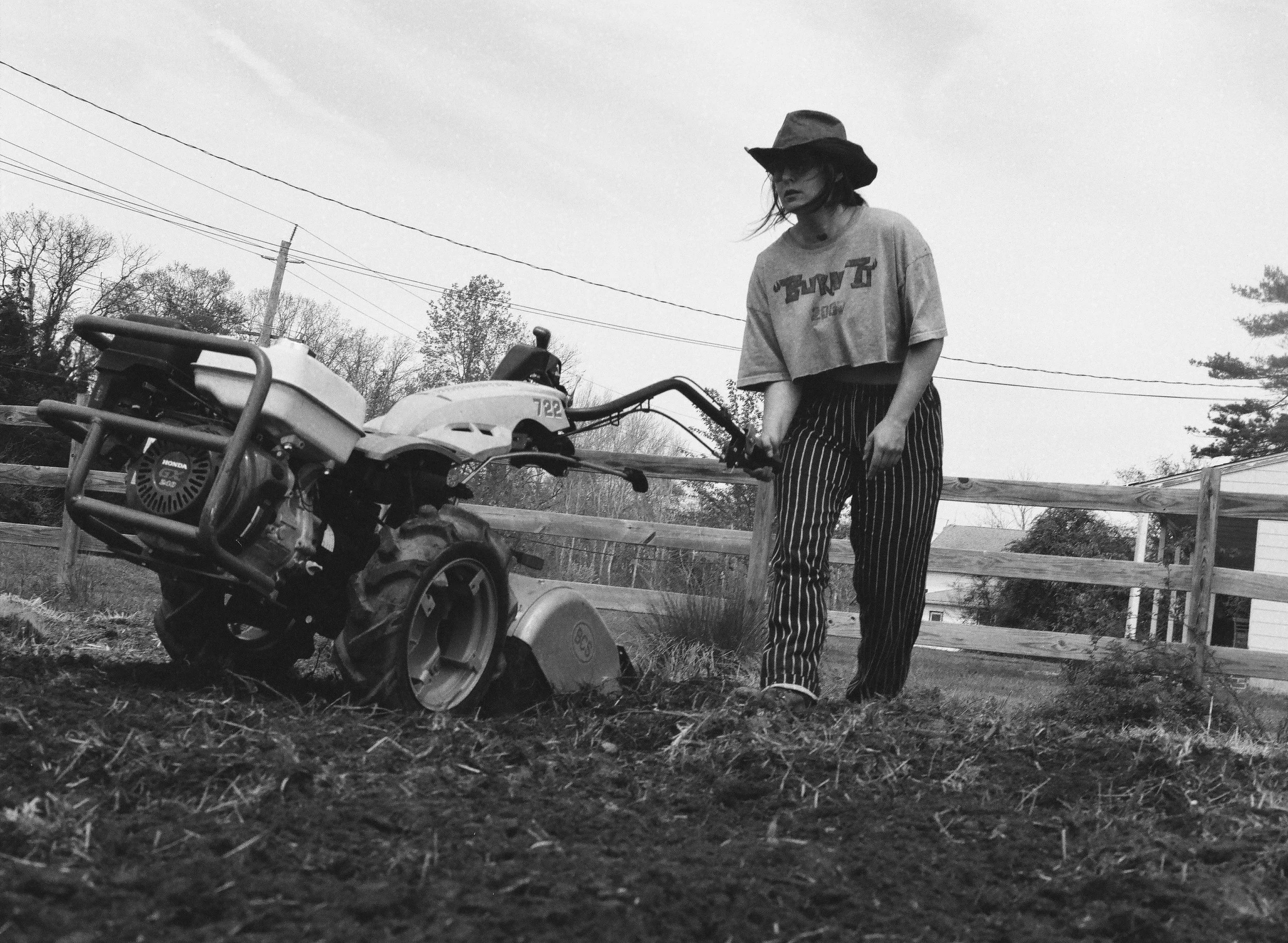 Brass Tacks — Terra Chimera Farm