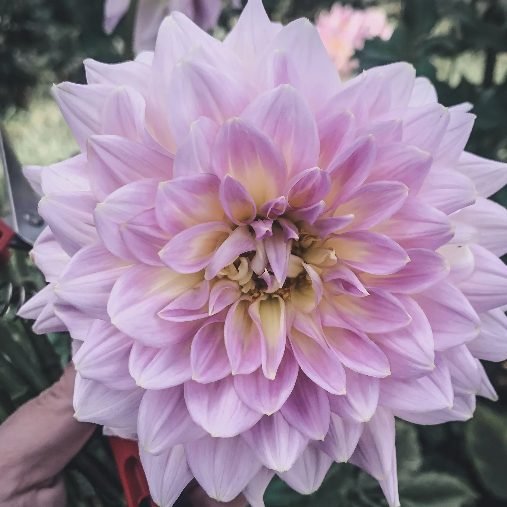 Shop — Stone Bank Flower Co