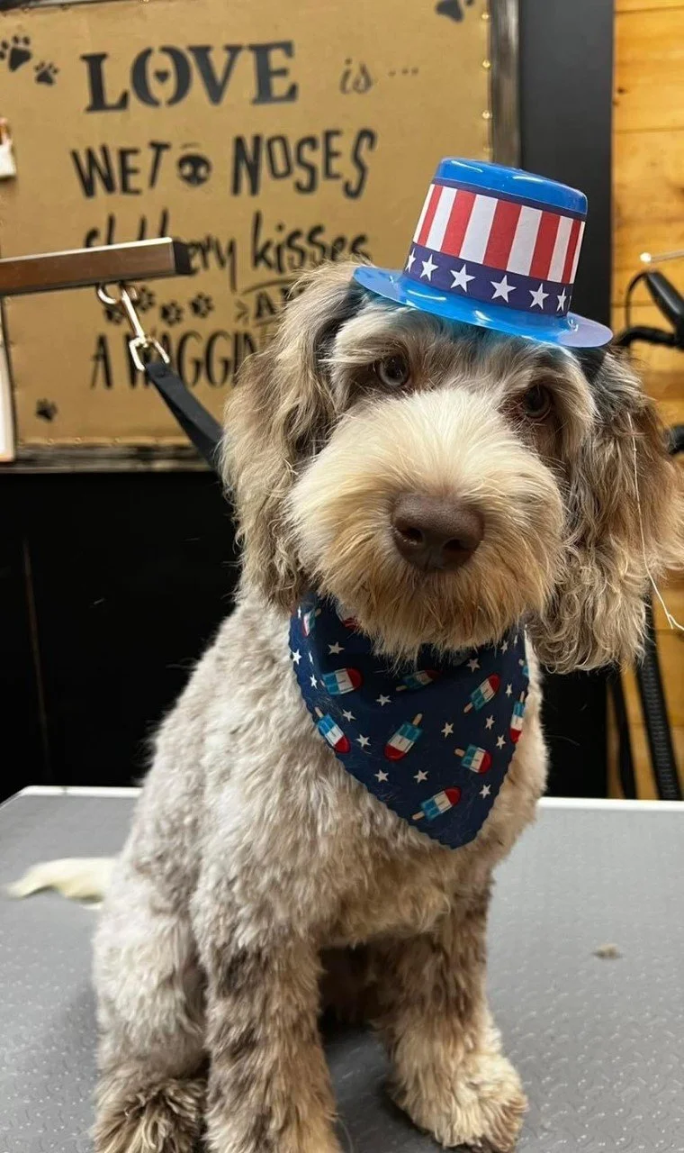 The Parents — Journeycreek Labradoodles