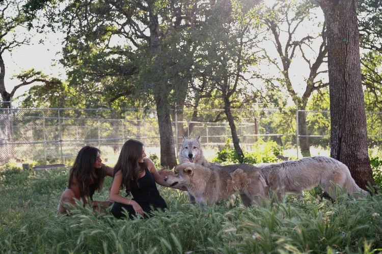 TEAM — Women For Wolves