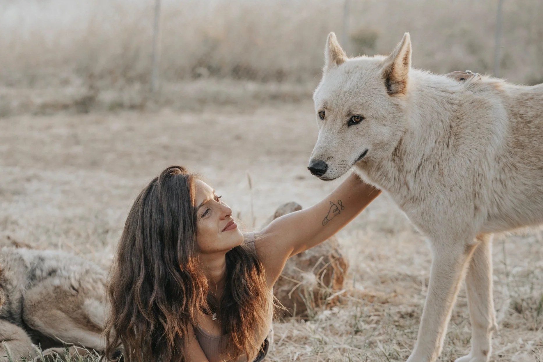 Mission — Women For Wolves