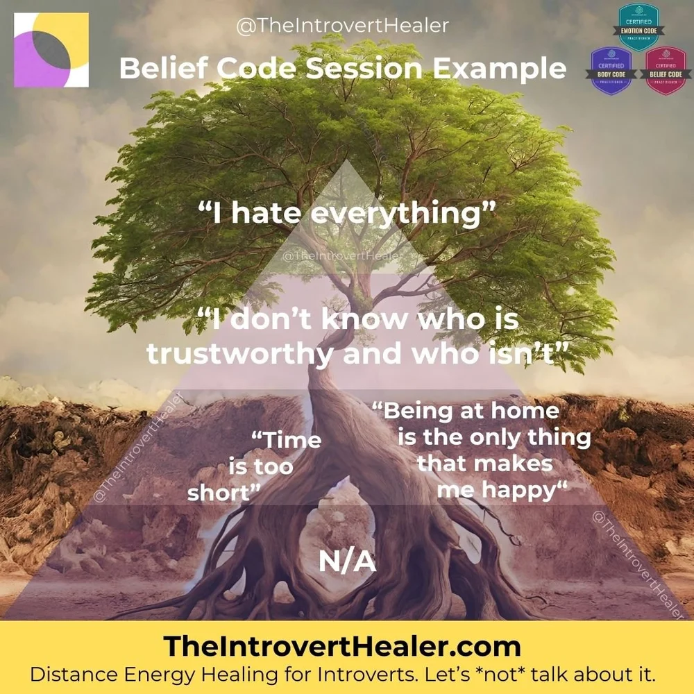 The Belief Code: Tangled Belief Systems — The Introvert Healer