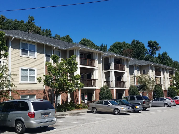 Shady Grove — Humanities Foundation
