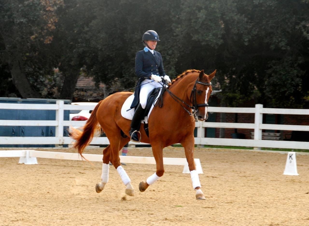 Meet Rachel — Rachel Williamson Dressage