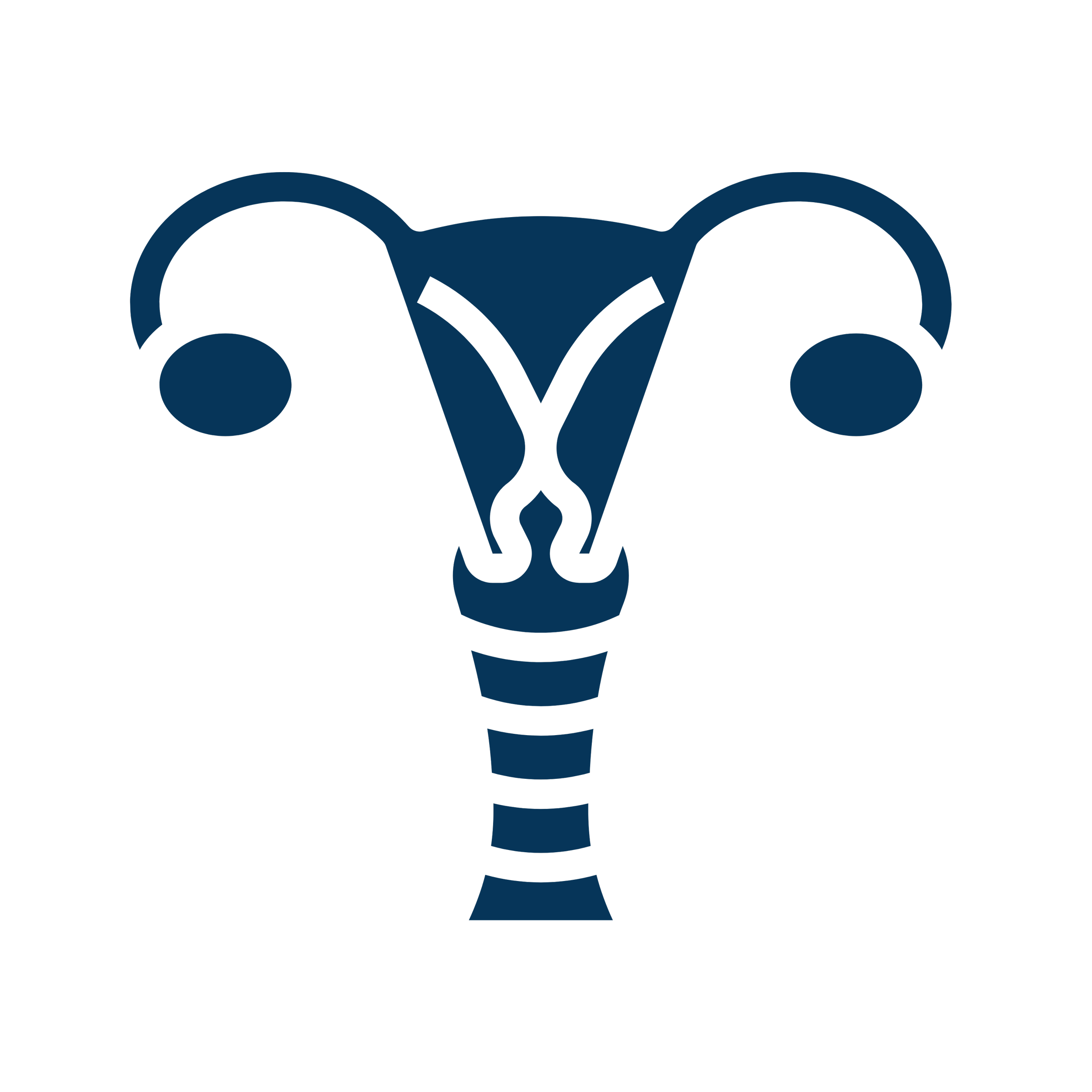 Gynaecology — Women's Health Road