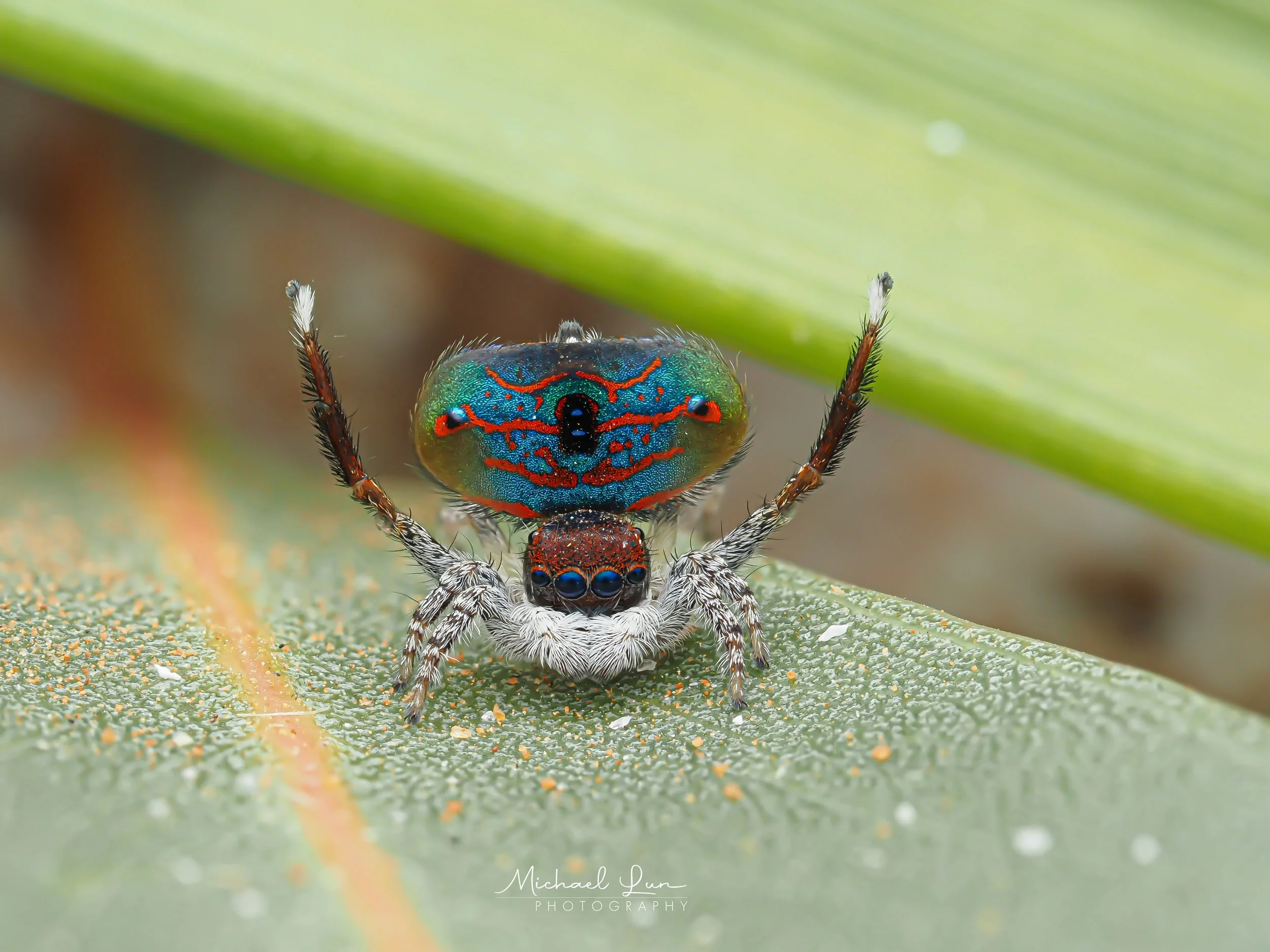 Michael Lun Photography