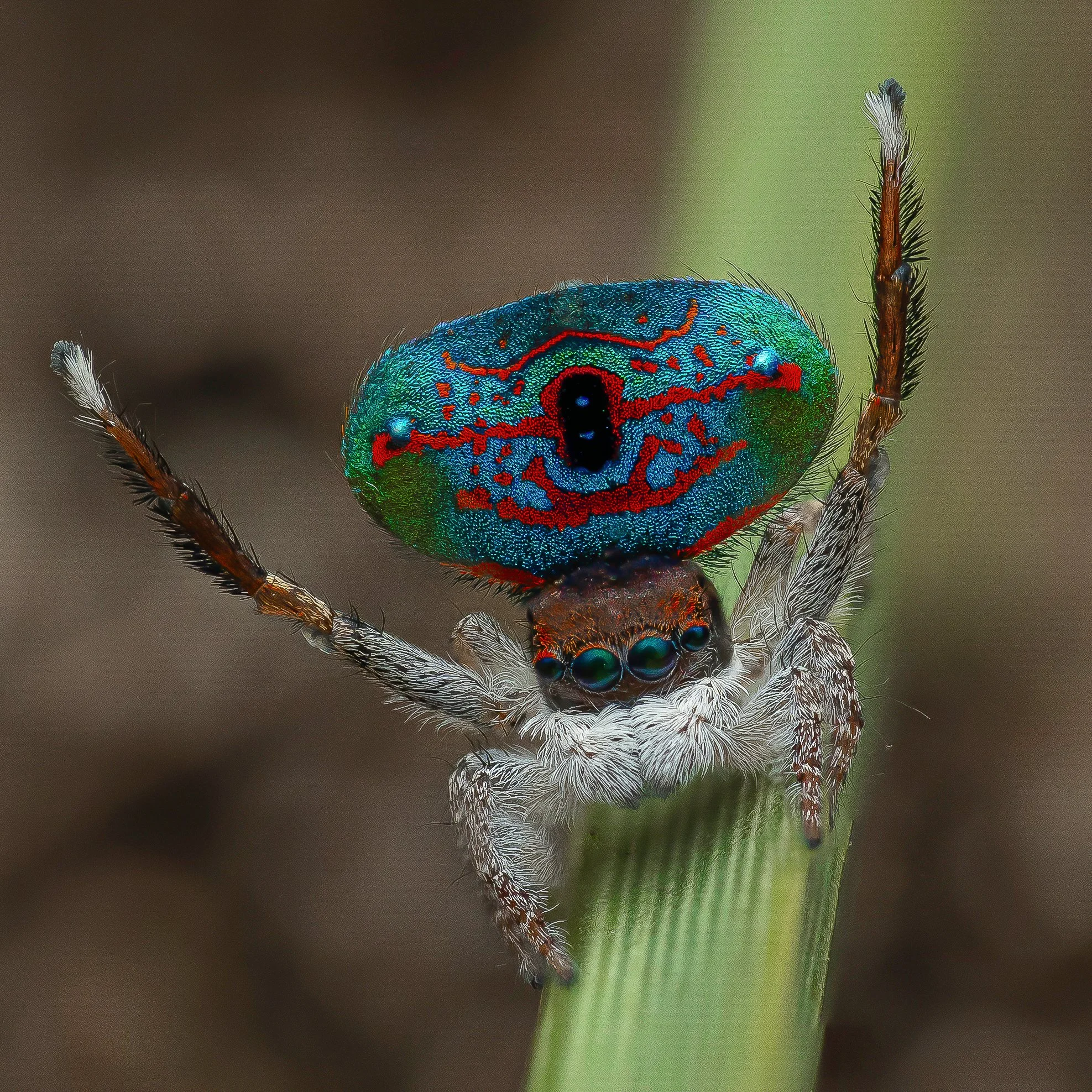 Michael Lun Photography