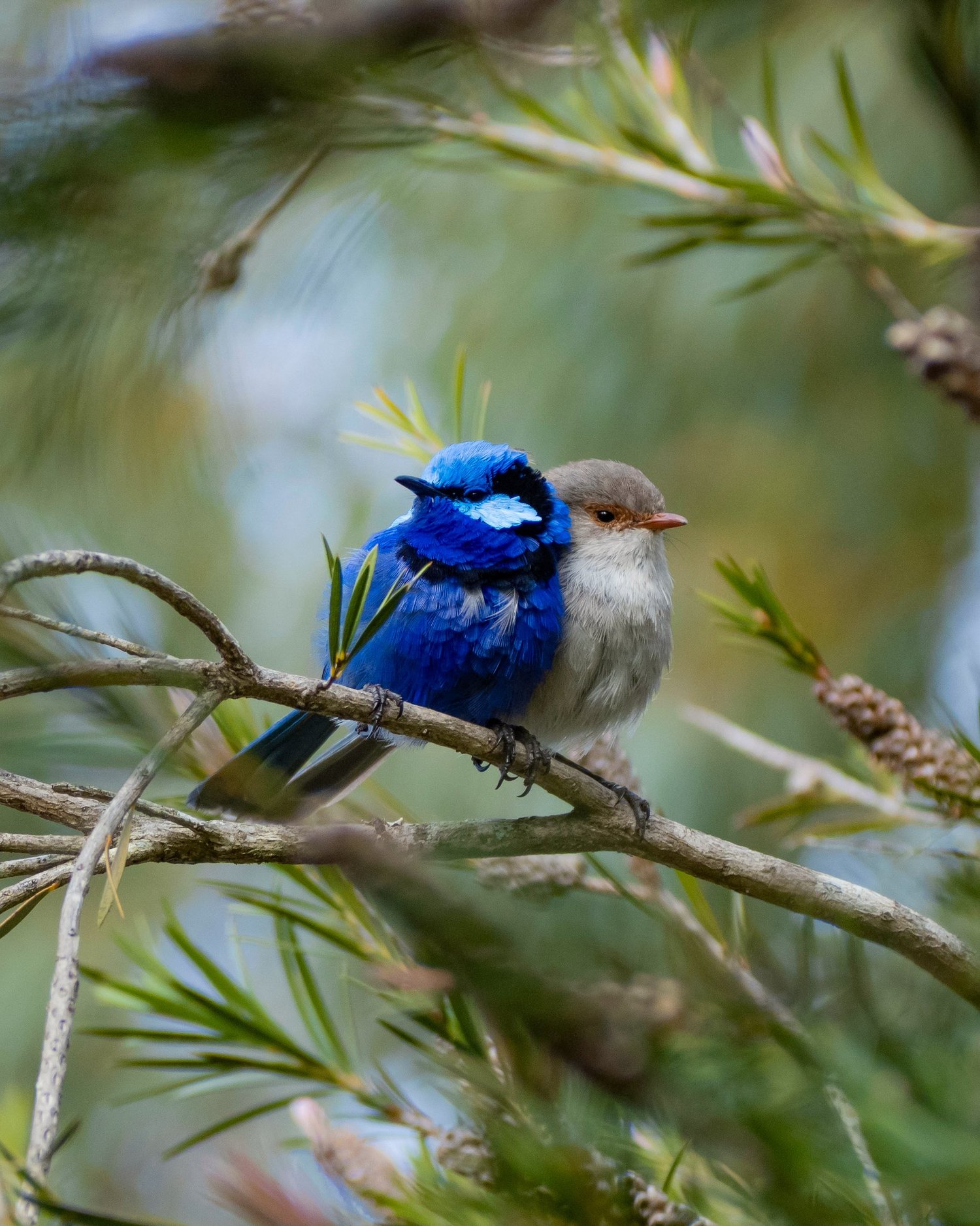 Michael Lun Photography