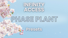 Infinity PHASE PLANT — NEST Acoustics