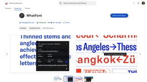 Identify a Font You Like: Free Tools & Tips | Ottilie Studio