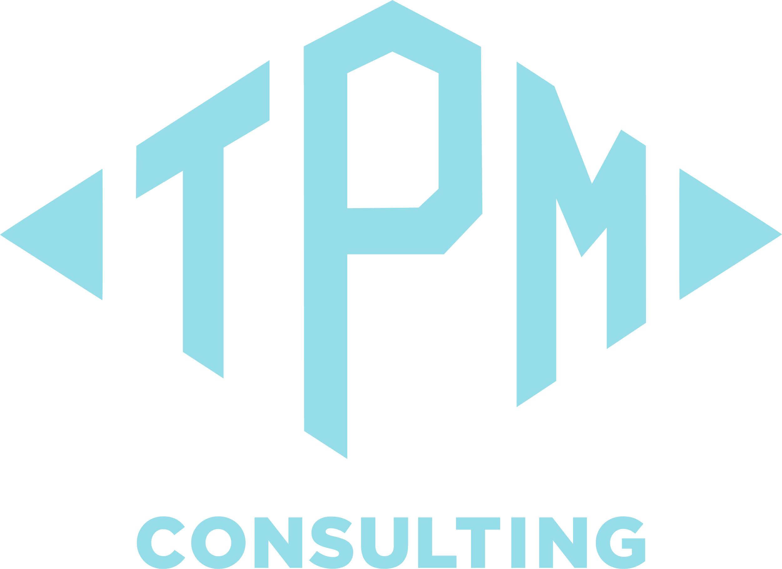 TPM Consulting