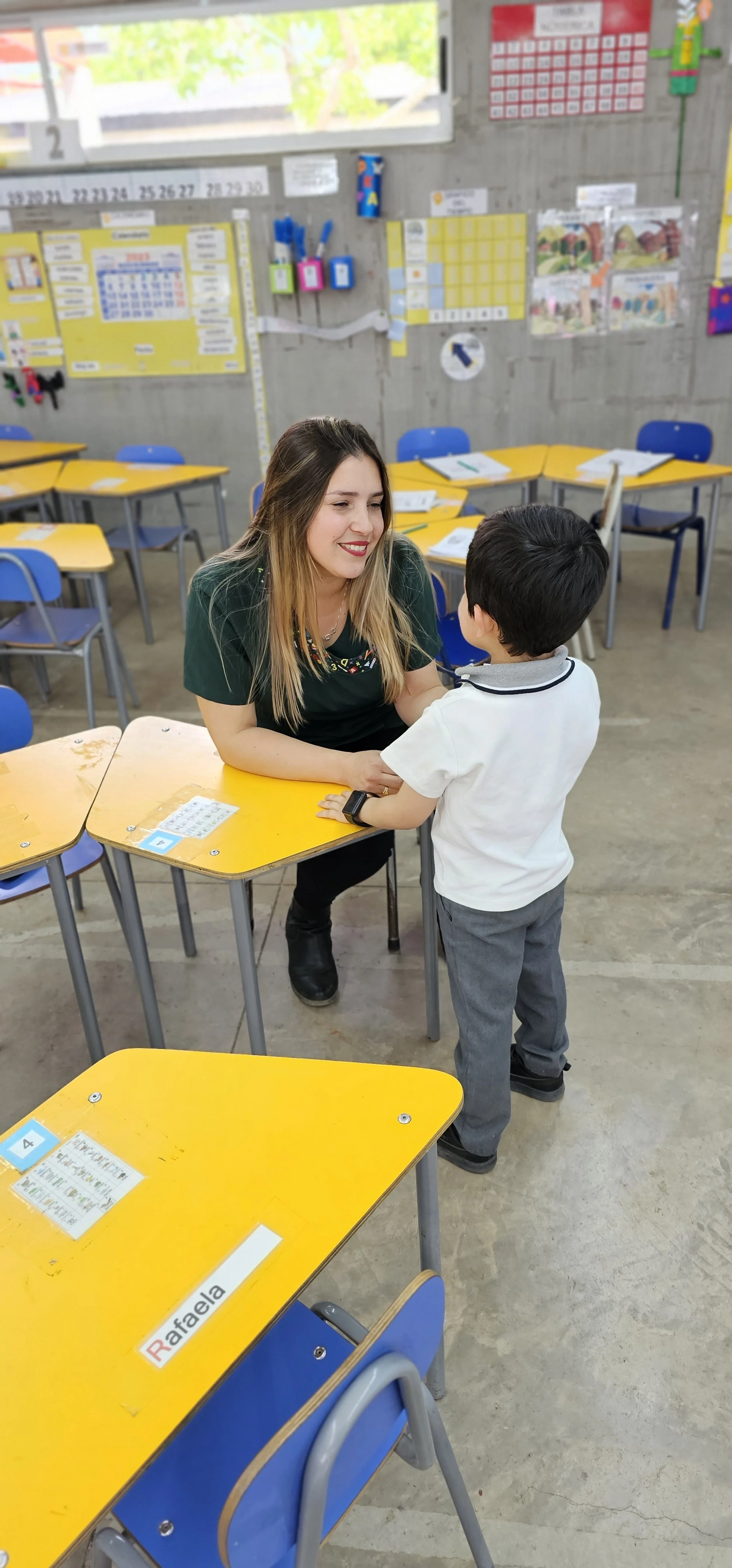 Chilean Eagles College Las Vizcachas — colegiosseg
