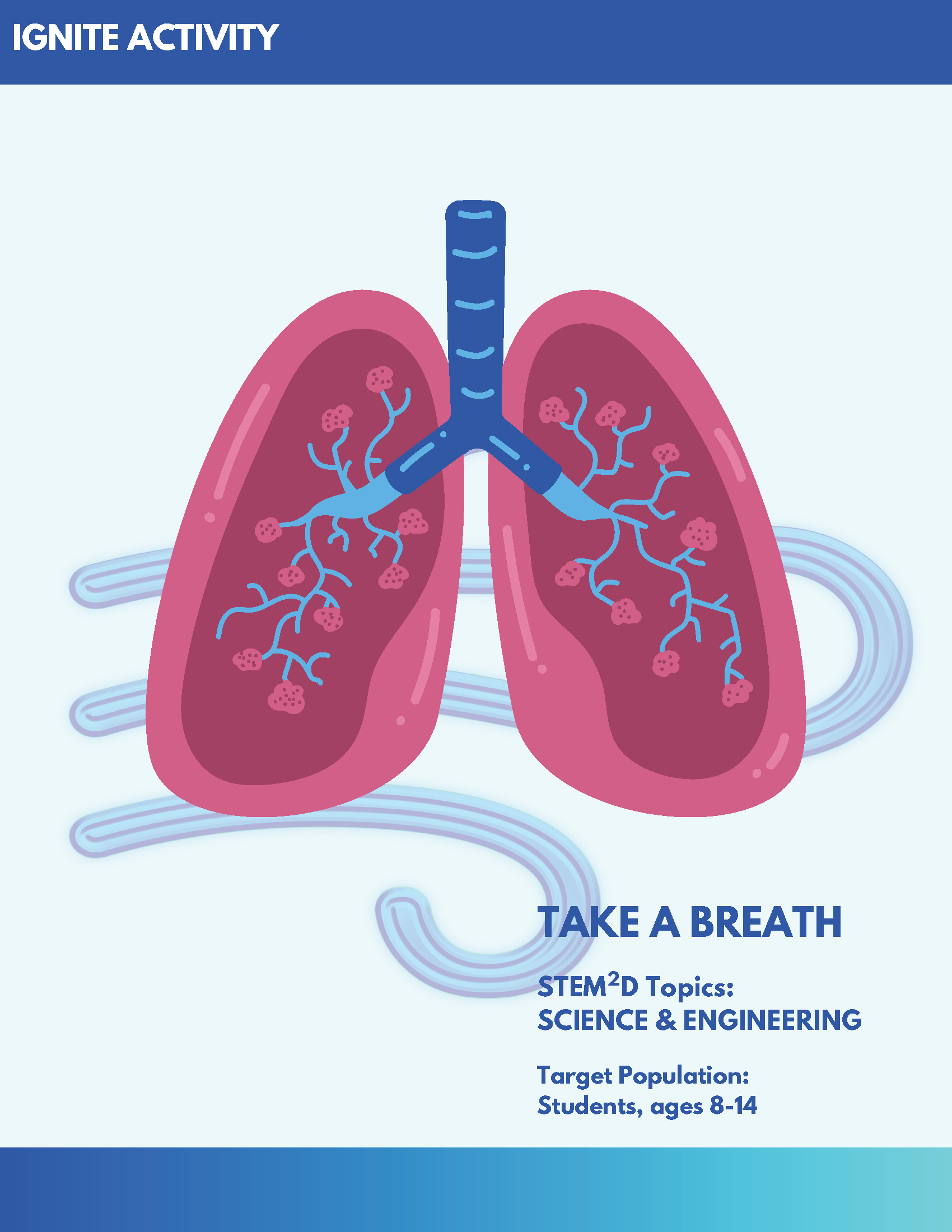 Ignite! The Physics Behind A Vortex — STEM²D
