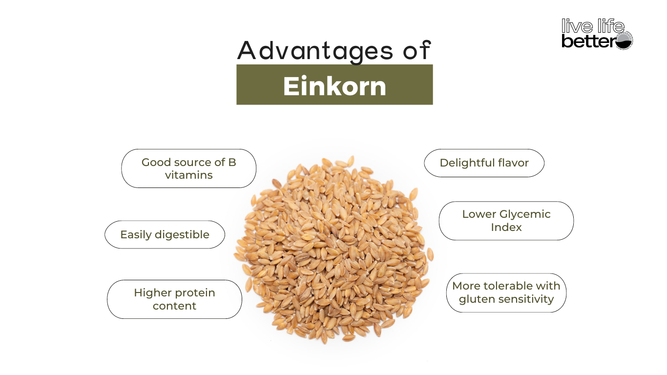 The Art of Einkorn Sourdough: Unleashing the Ancient Grain's Fermented ...