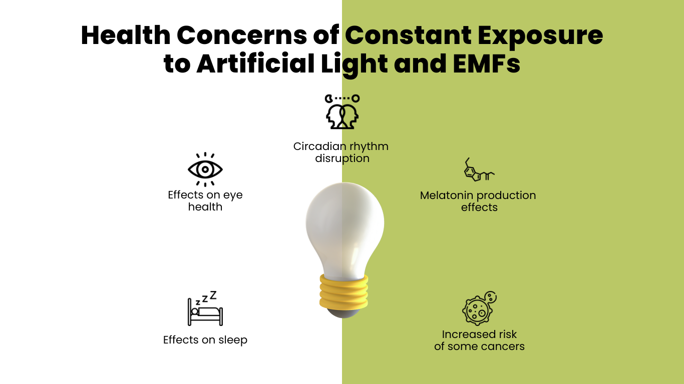 The Impact of Artificial Light & Non-Native EMFs on Health — Live Life ...