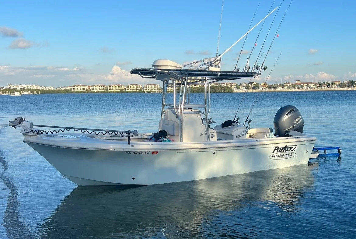 Strike One Fishing Charters