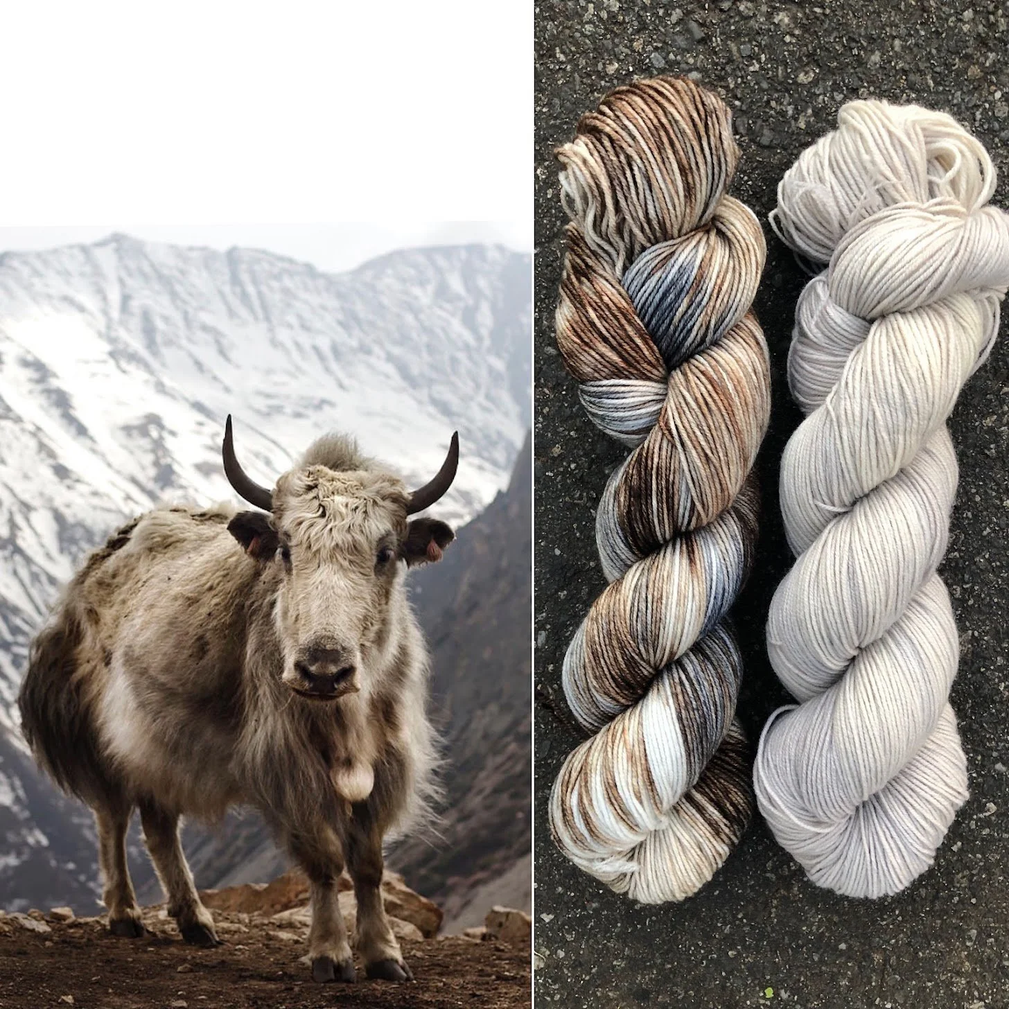 December Newsletter! — Round Mountain Fibers