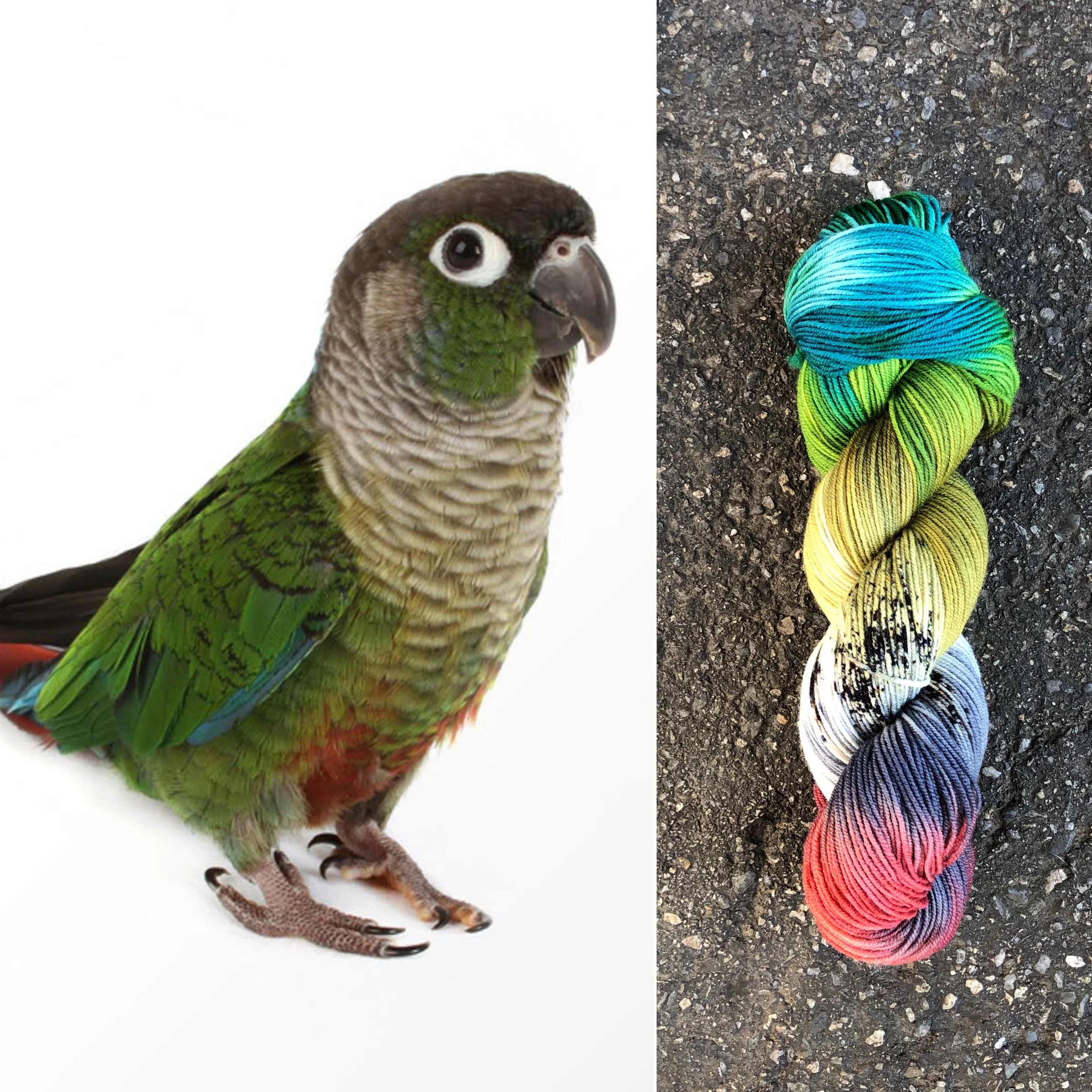 Featured Colors — Round Mountain Fibers