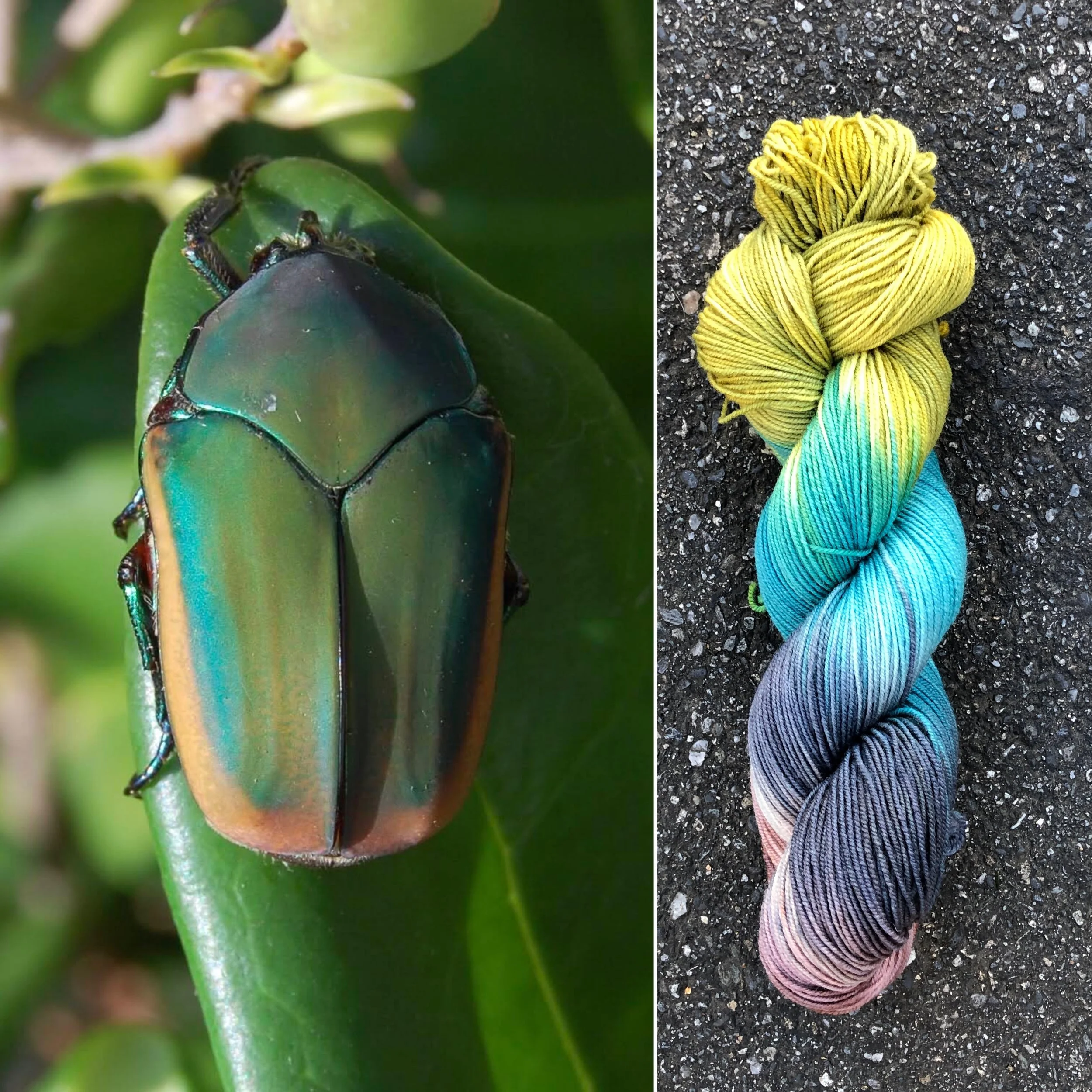 Featured Colors — Round Mountain Fibers