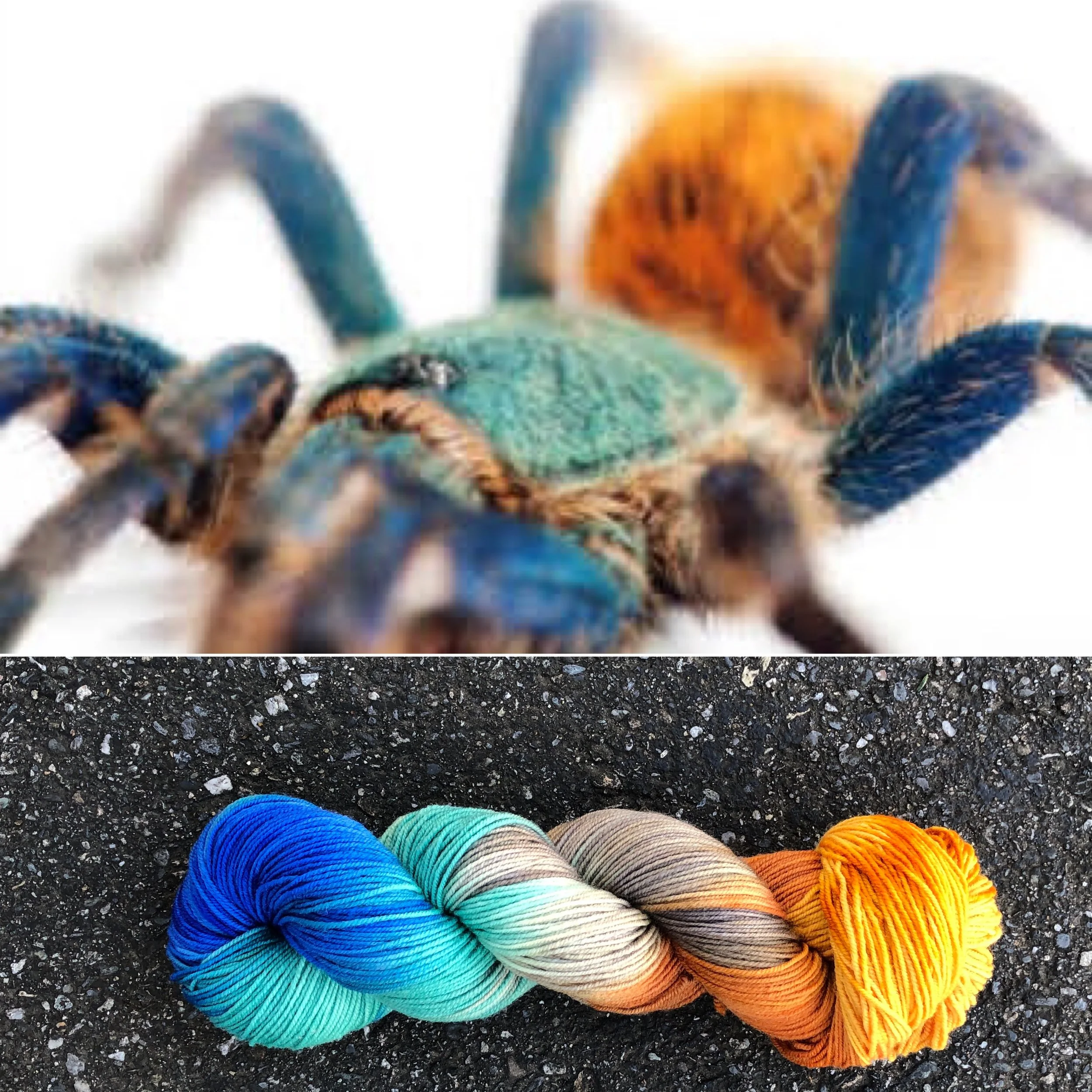 Green Bottle Blue Tarantula — Round Mountain Fibers