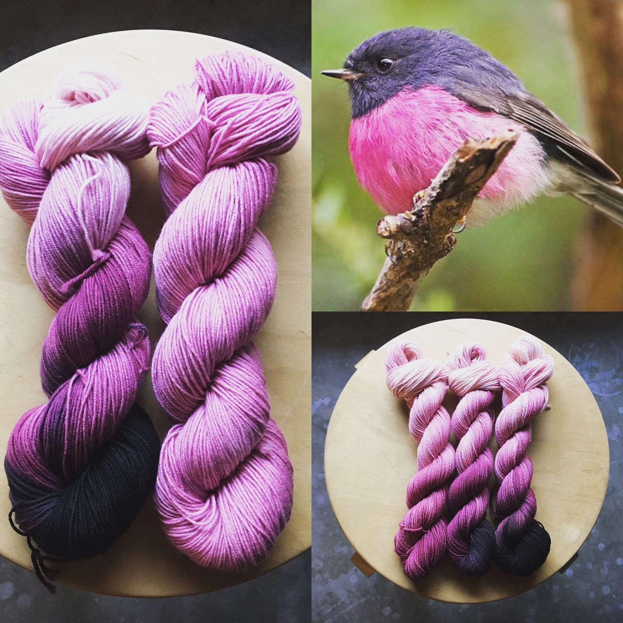 Pink Robin and Robin's Blush — Round Mountain Fibers