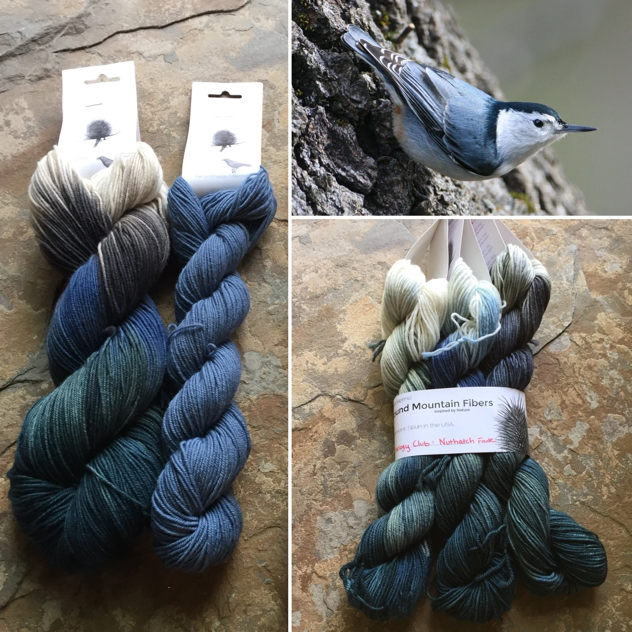 Nuthatch and Nuthatch Blue — Round Mountain Fibers