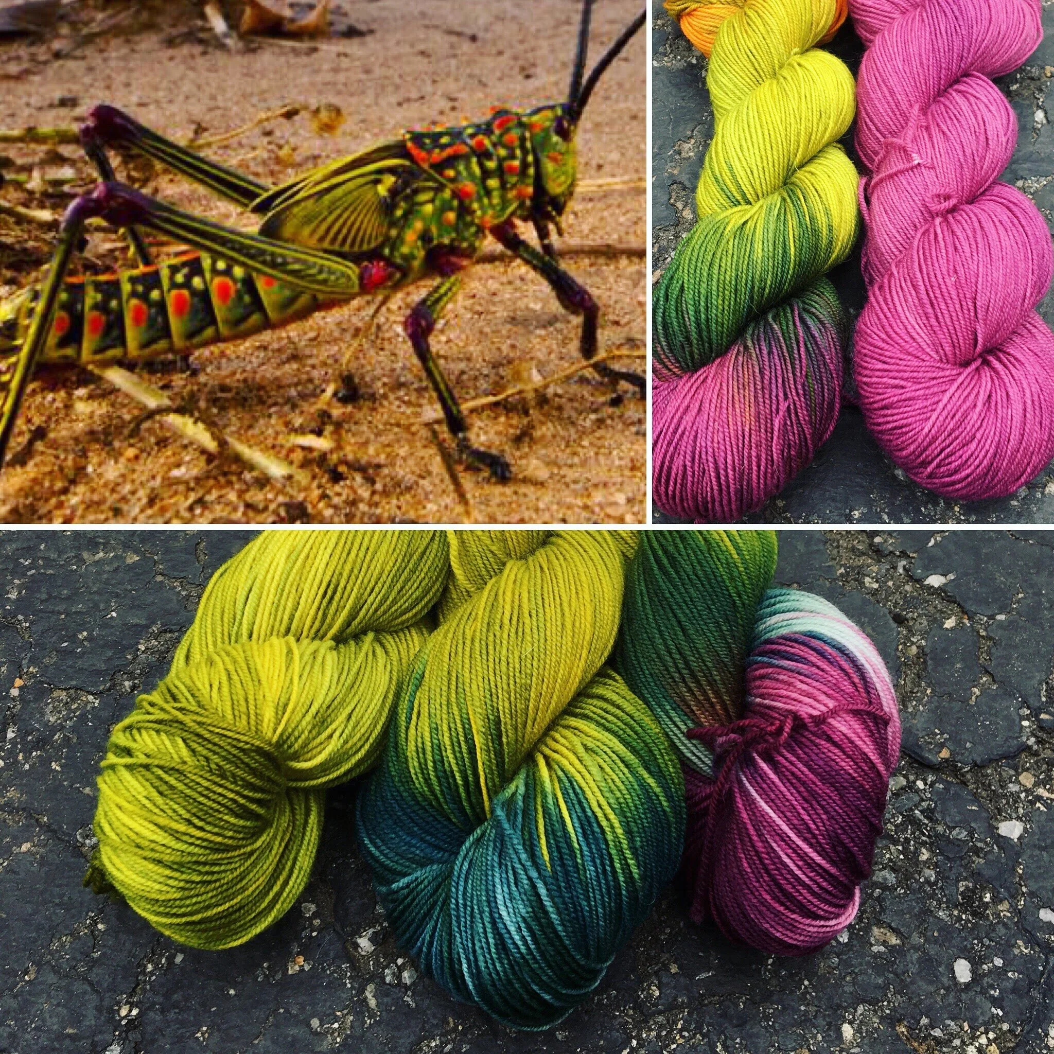 Dye to Order — Round Mountain Fibers
