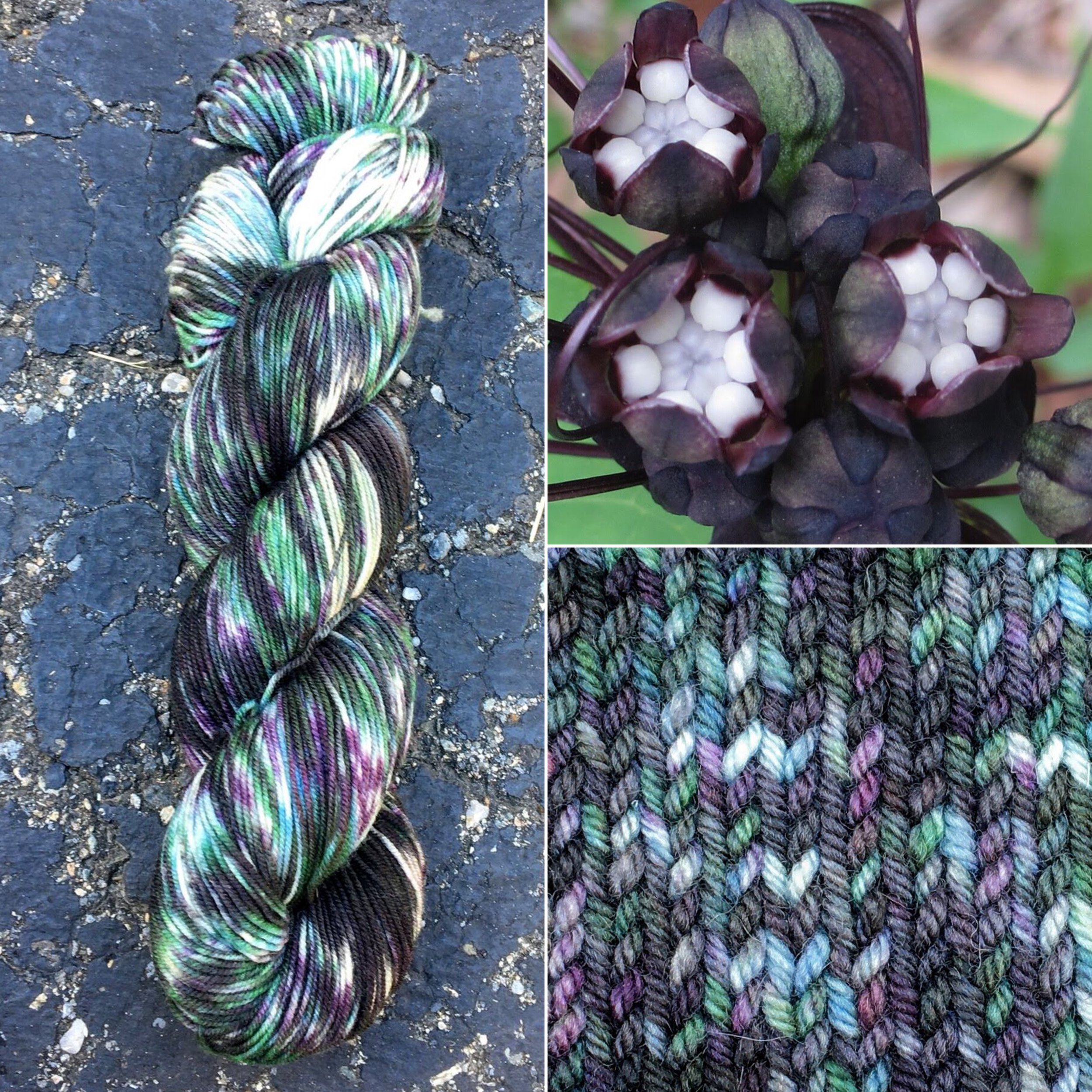 Black Tacca and Tacca Blue — Round Mountain Fibers