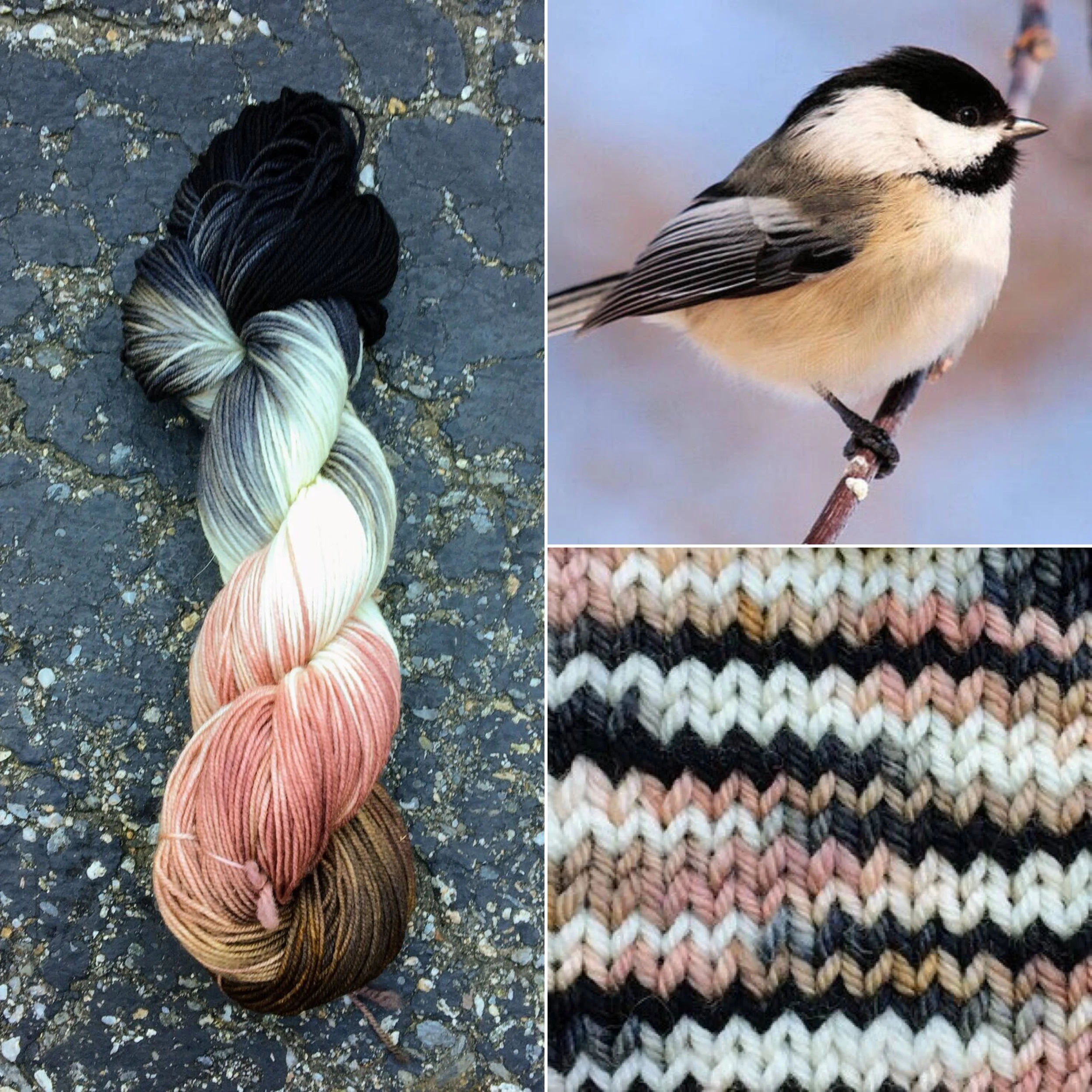 Black Capped Chickadee and Chickadee Blush — Round Mountain Fibers