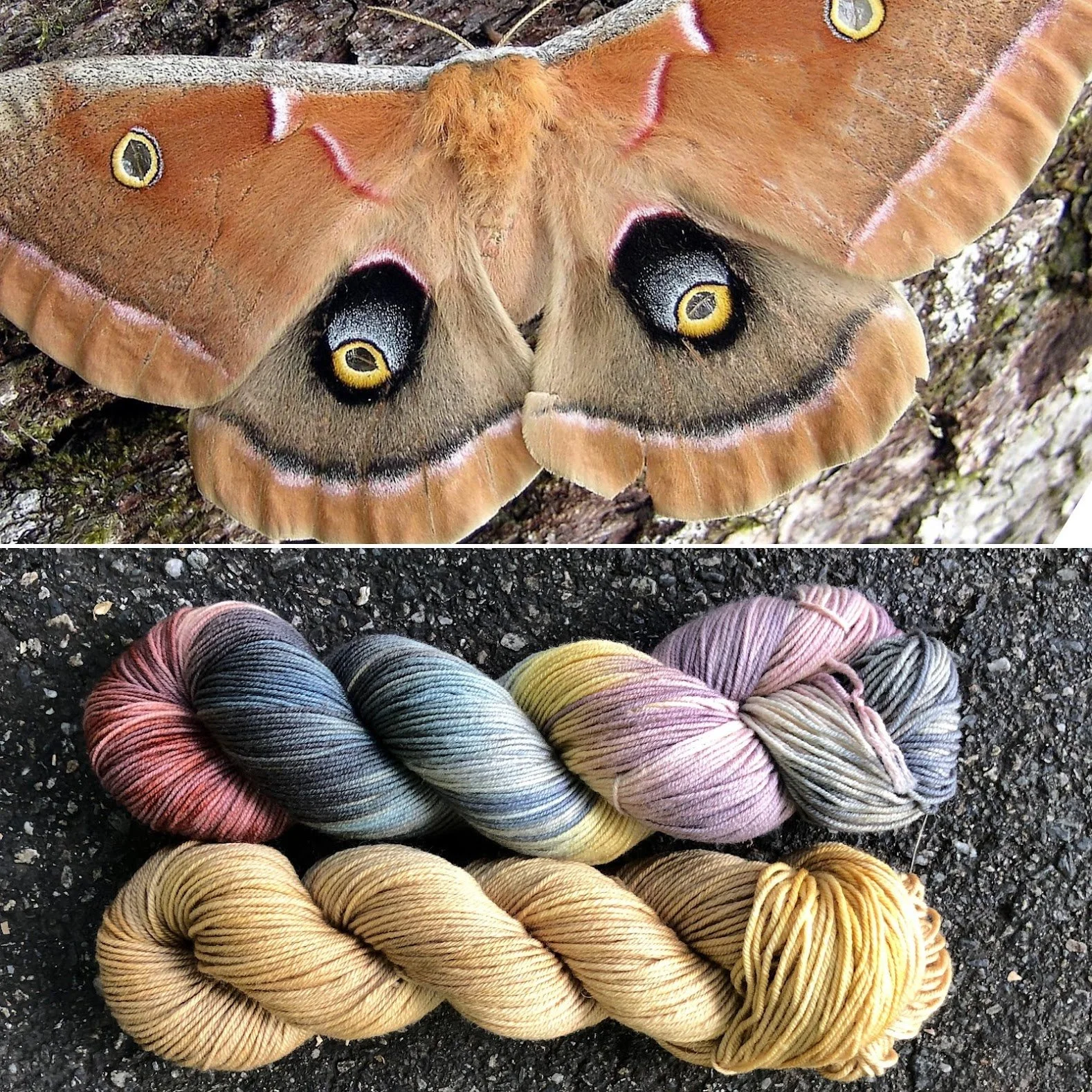 October Newsletter! — Round Mountain Fibers