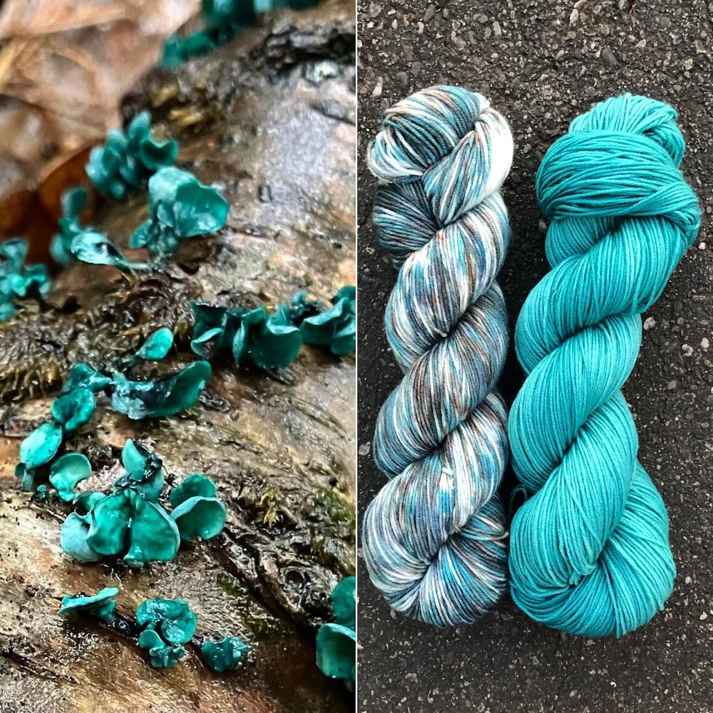 December Newsletter! — Round Mountain Fibers