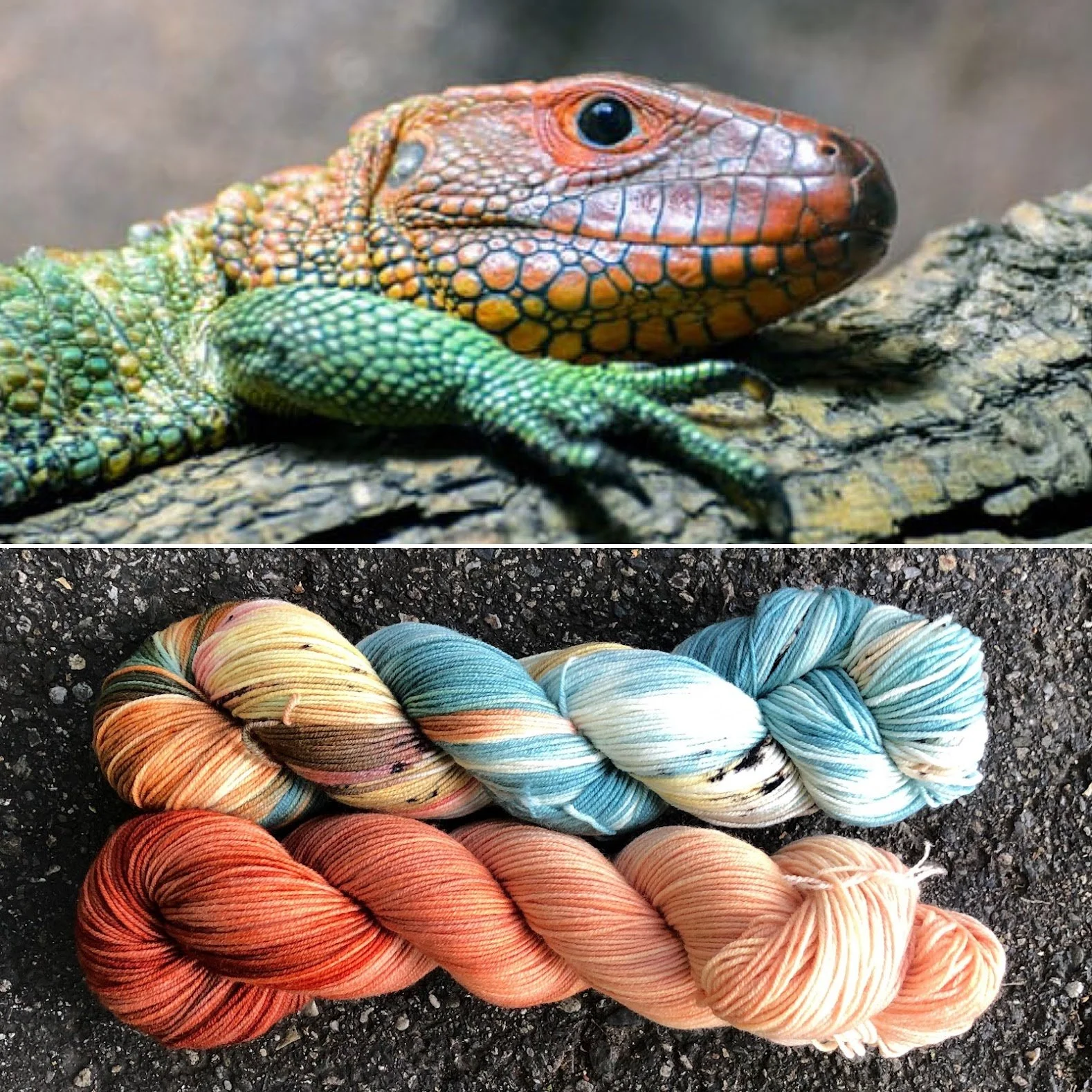 Caiman Lizard and Caiman Lizard Rust — Round Mountain Fibers