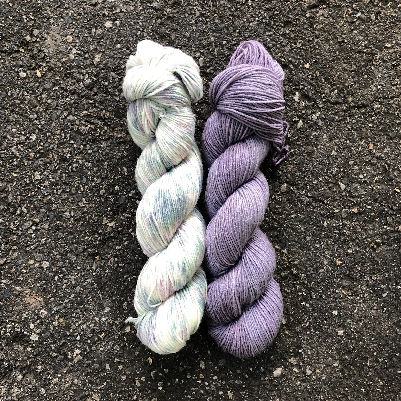 Blueberries in June — Round Mountain Fibers