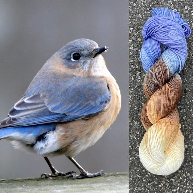 Eastern Bluebird — Round Mountain Fibers